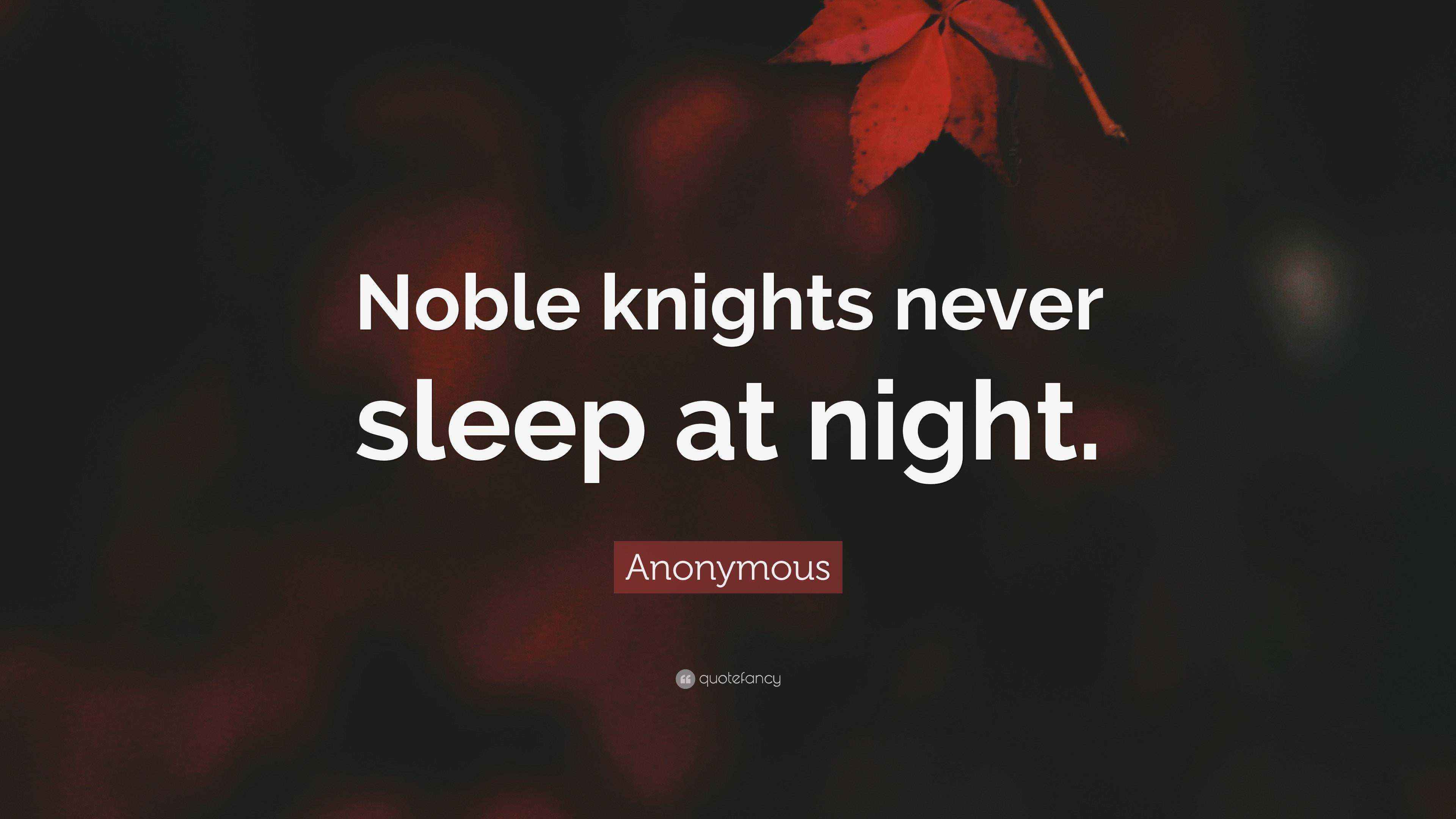 Noble Knight Quotes