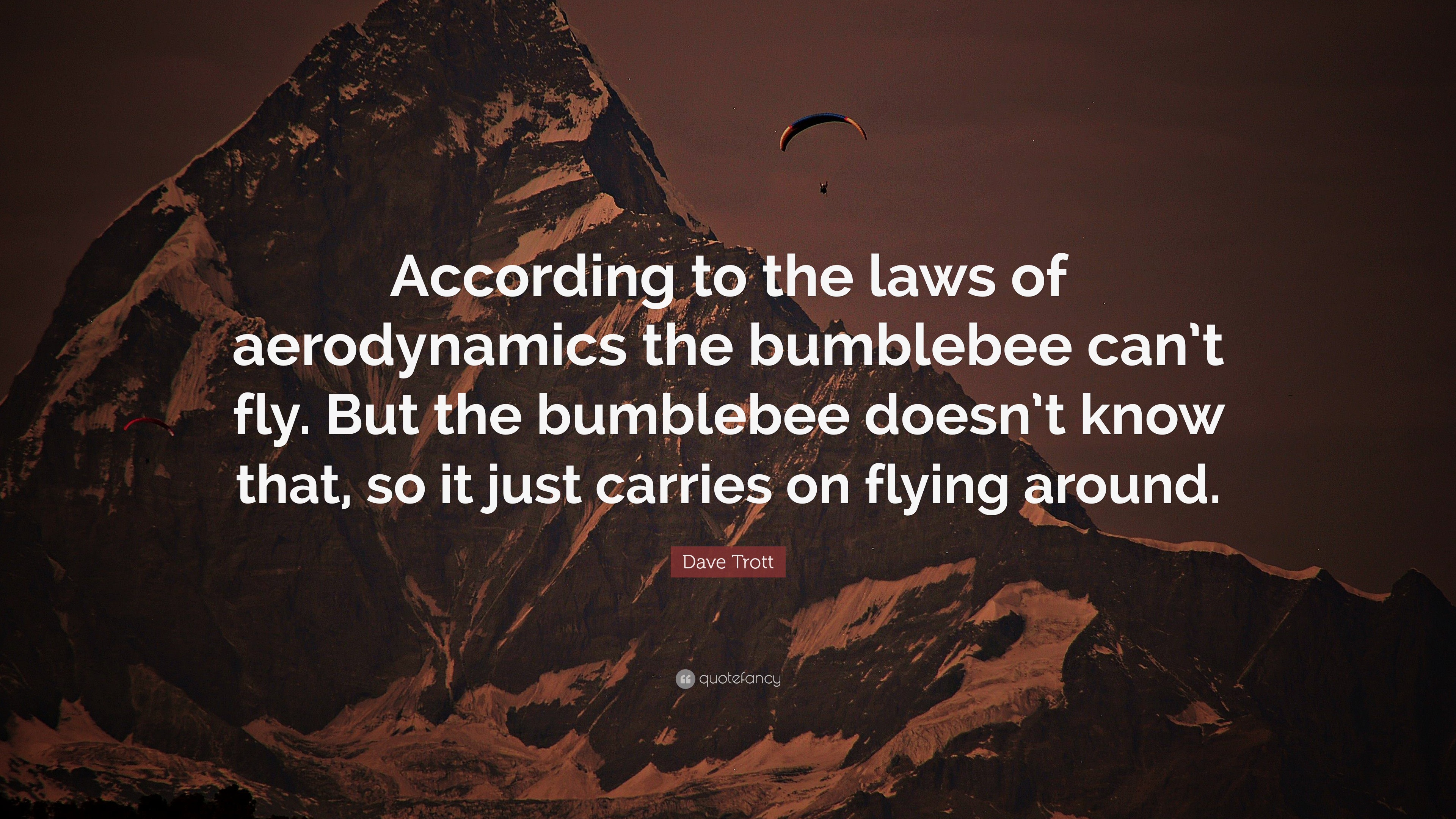 Dave Trott Quote: “According to the laws of aerodynamics the bumblebee ...