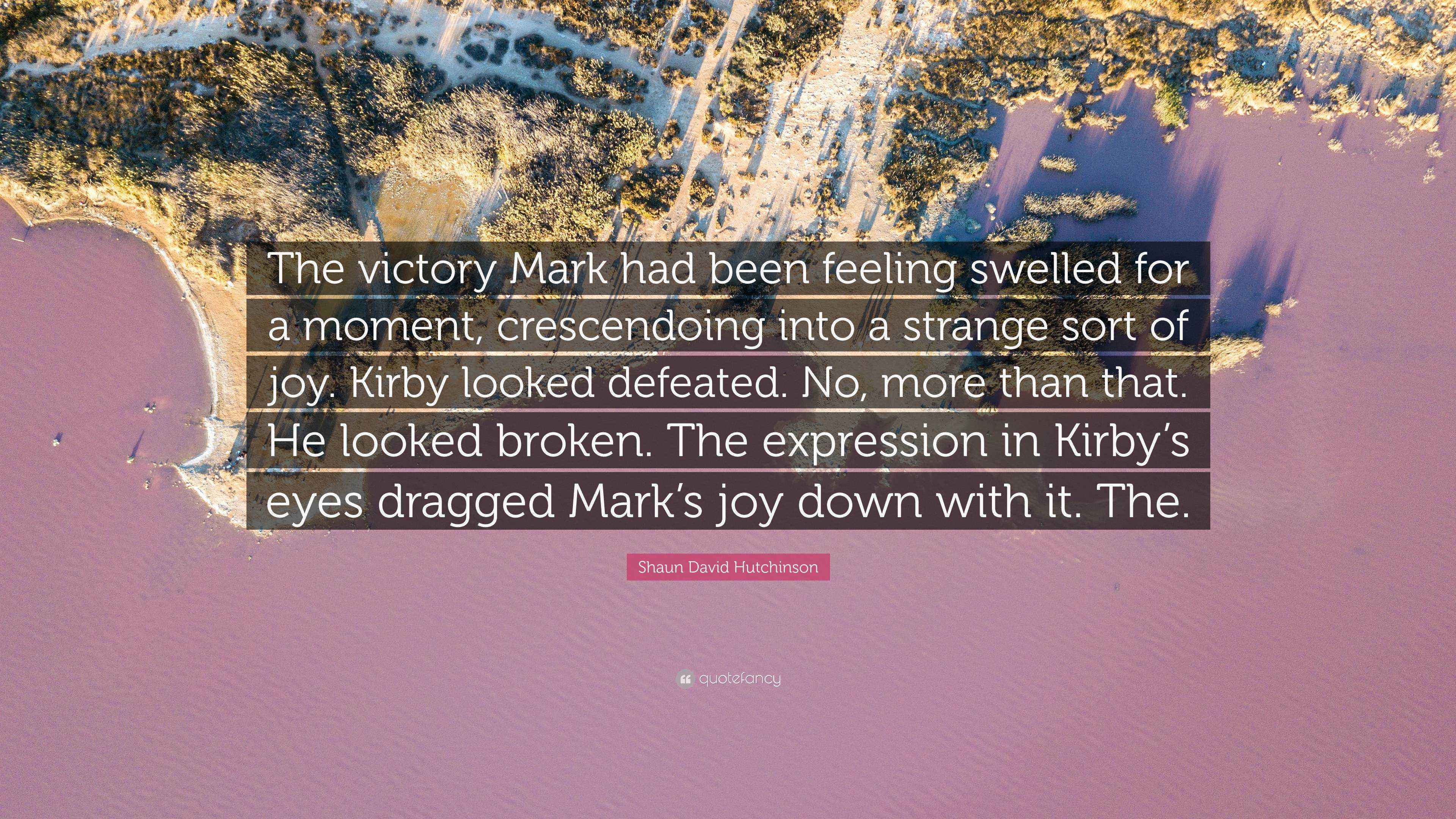 Shaun David Hutchinson Quote: “The victory Mark had been feeling ...