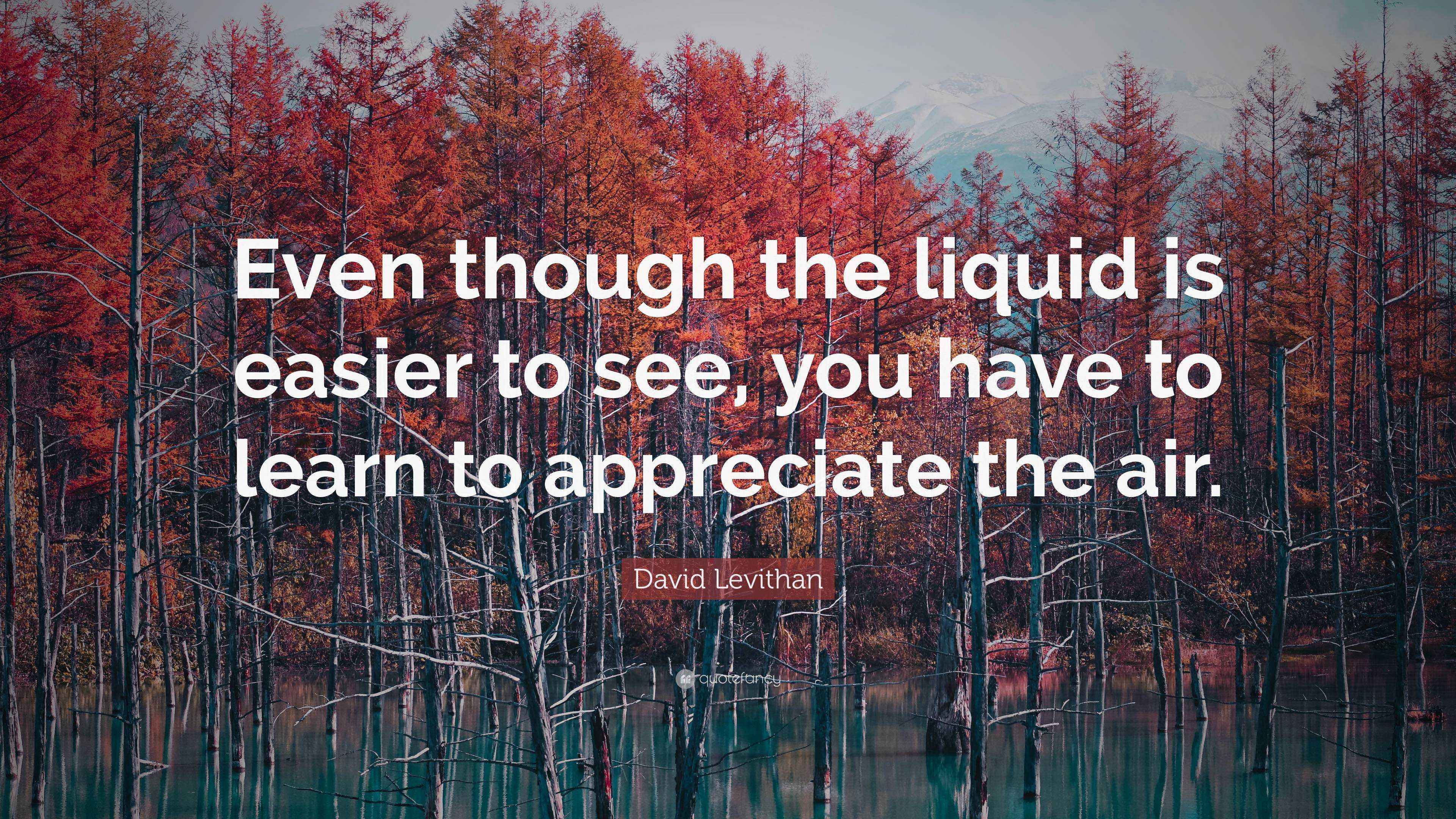 David Levithan Quote: “Even though the liquid is easier to see, you ...