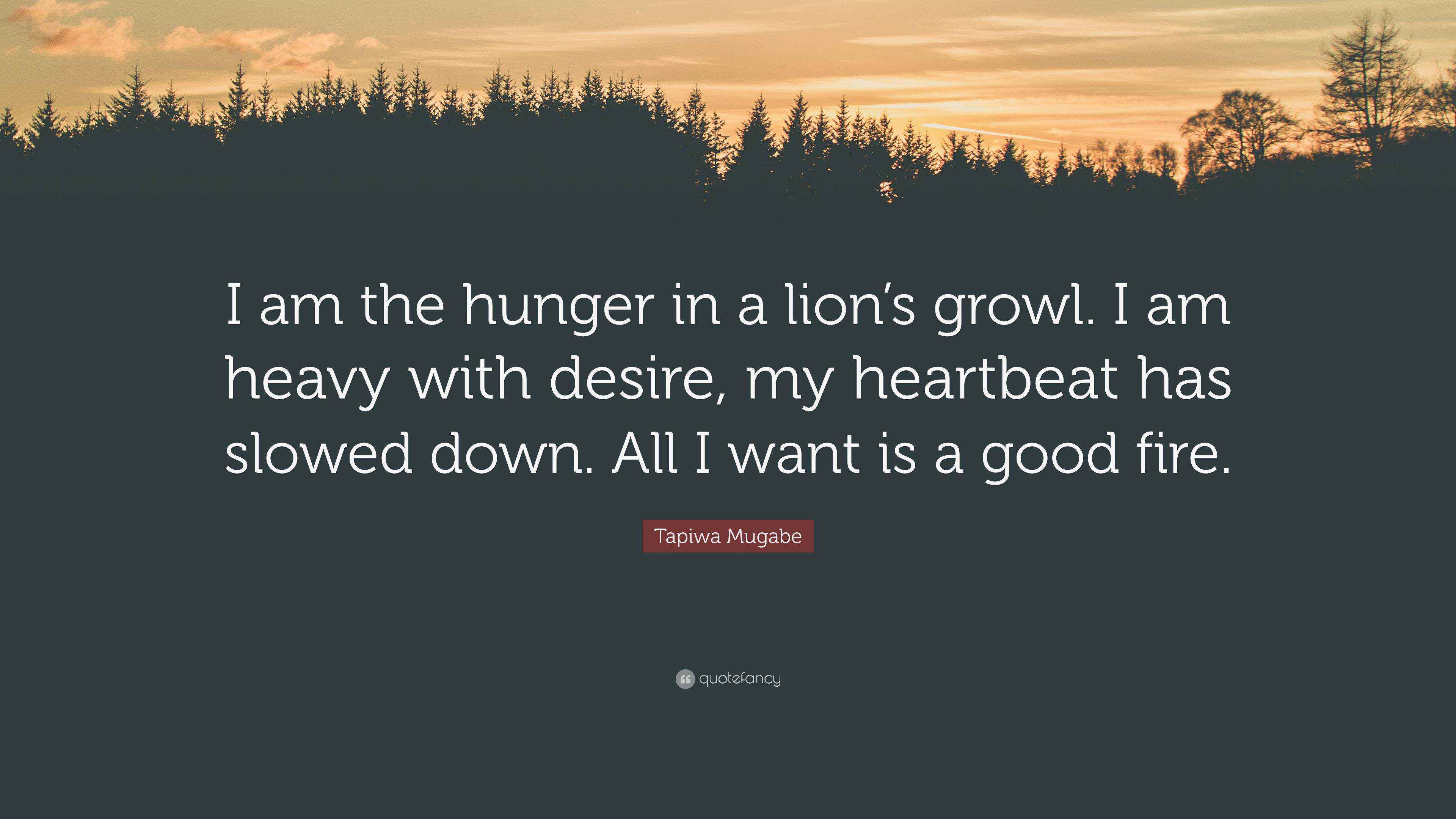 Tapiwa Mugabe Quote: “I am the hunger in a lion’s growl. I am heavy ...