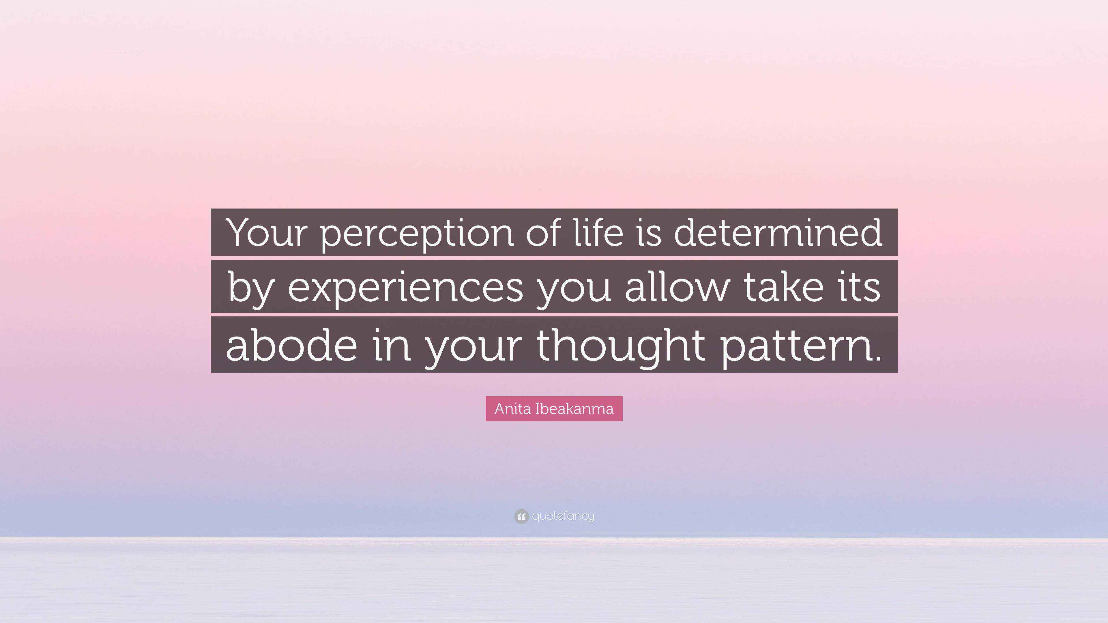 Anita Ibeakanma Quote: “Your perception of life is determined by ...
