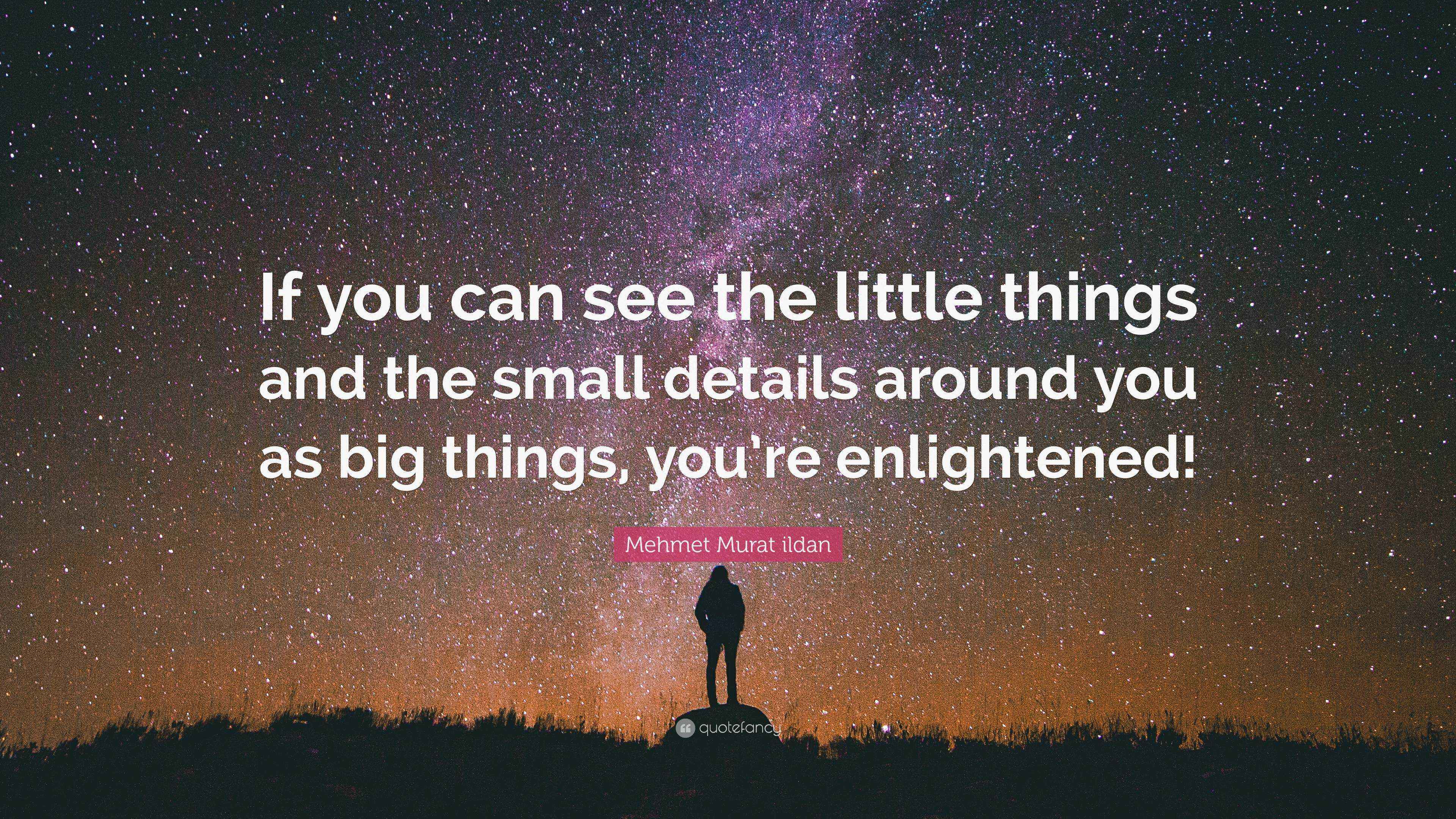 Mehmet Murat ildan Quote: “If you can see the little things and the ...