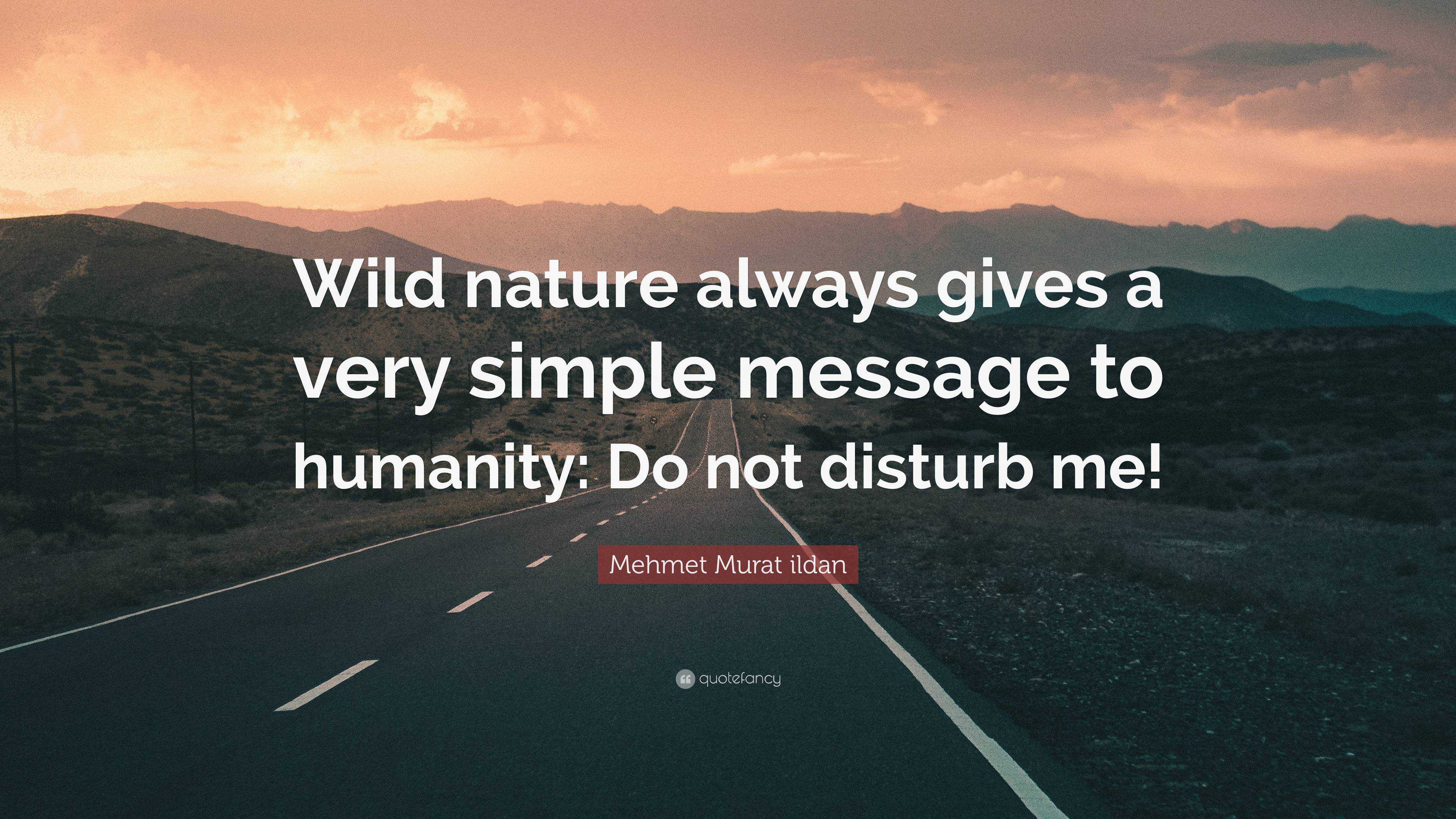 Mehmet Murat ildan Quote: “Wild nature always gives a very simple ...