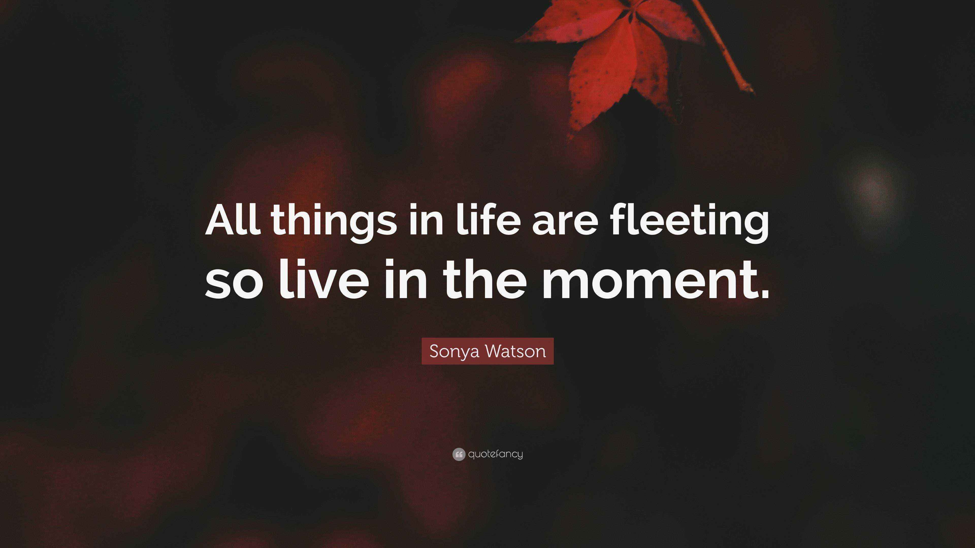 Sonya Watson Quote: “All things in life are fleeting so live in the ...