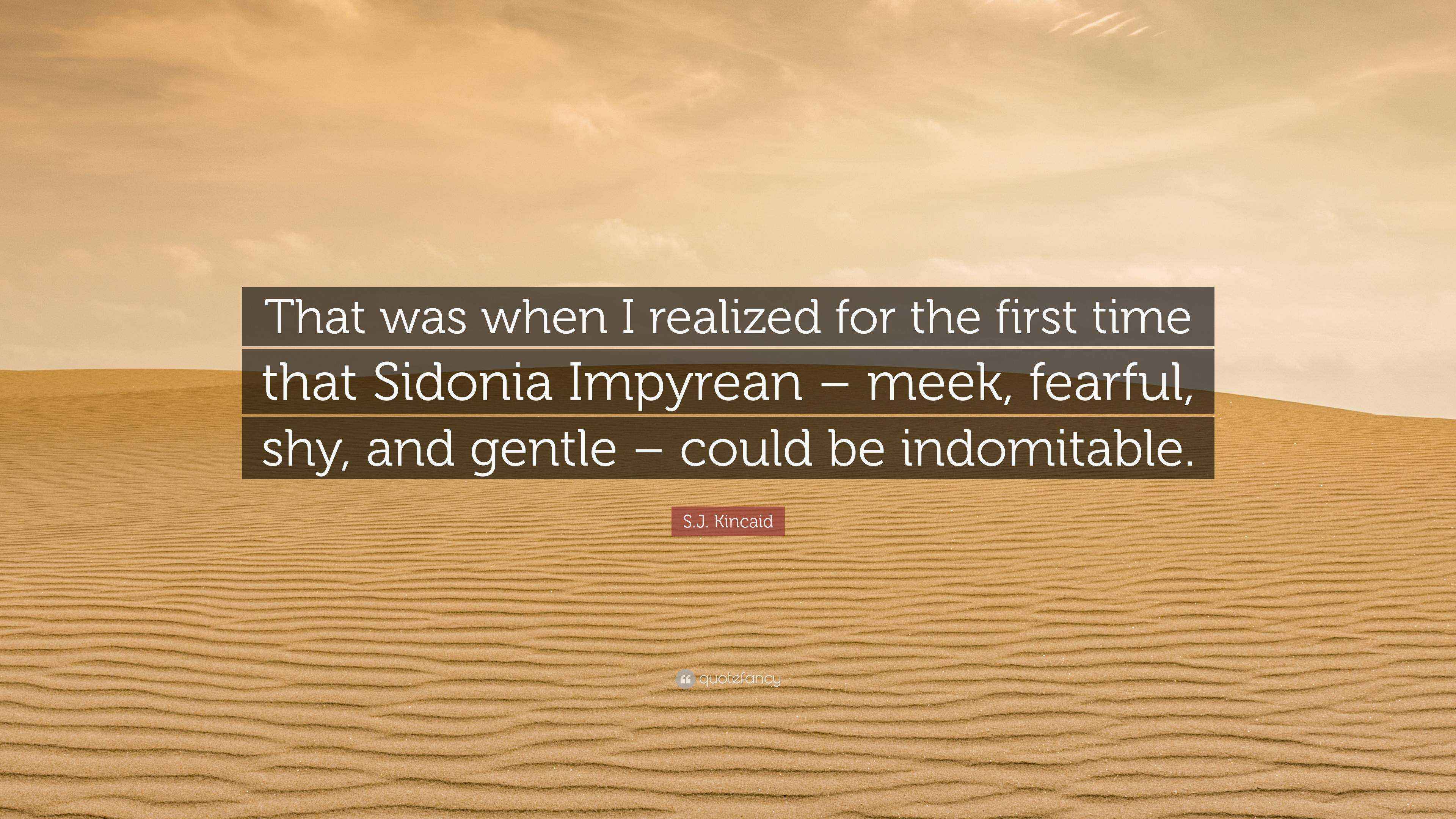 S.J. Kincaid Quote: “That was when I realized for the first time that ...