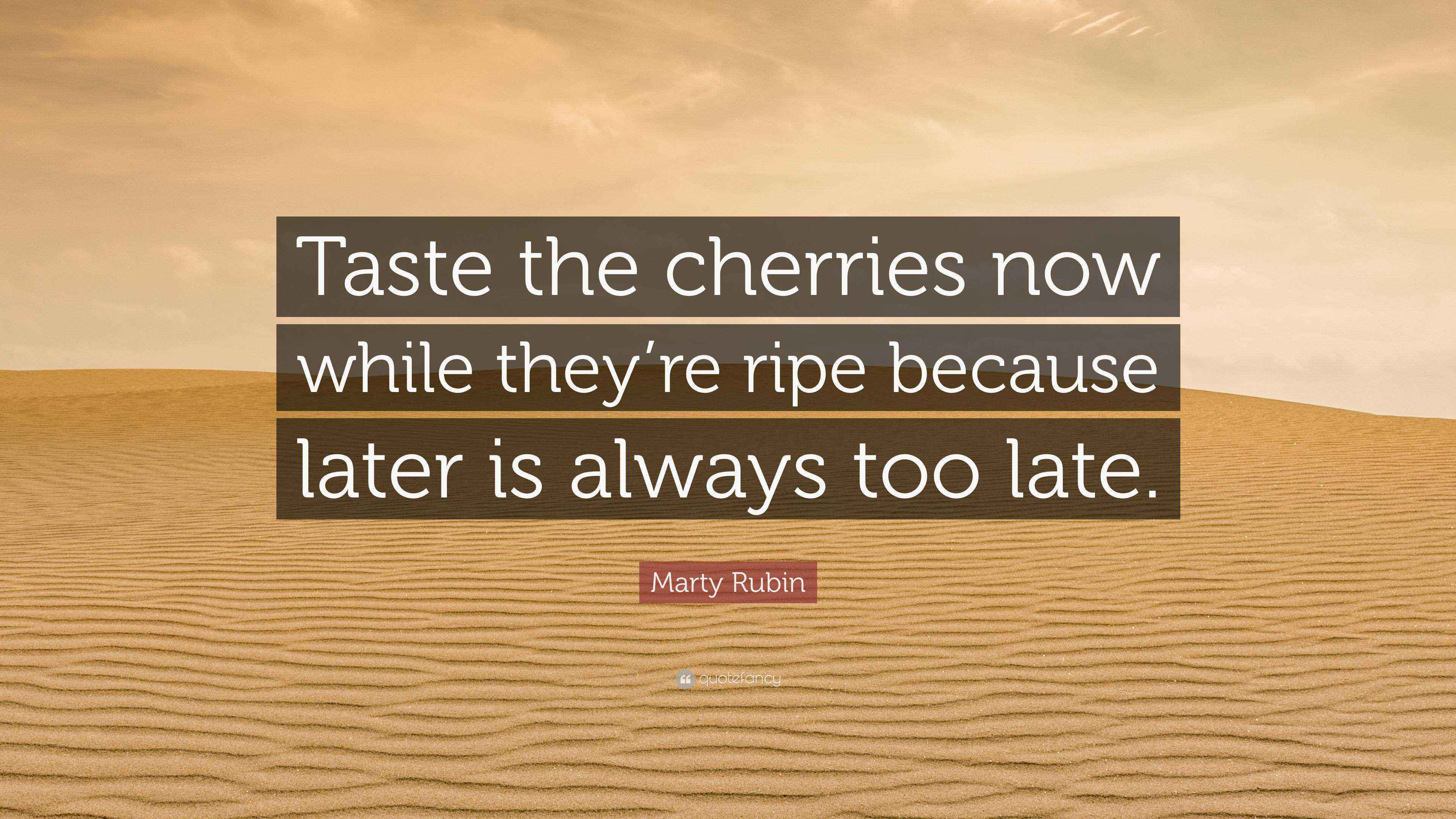 Marty Rubin Quote: “Taste the cherries now while they’re ripe because ...