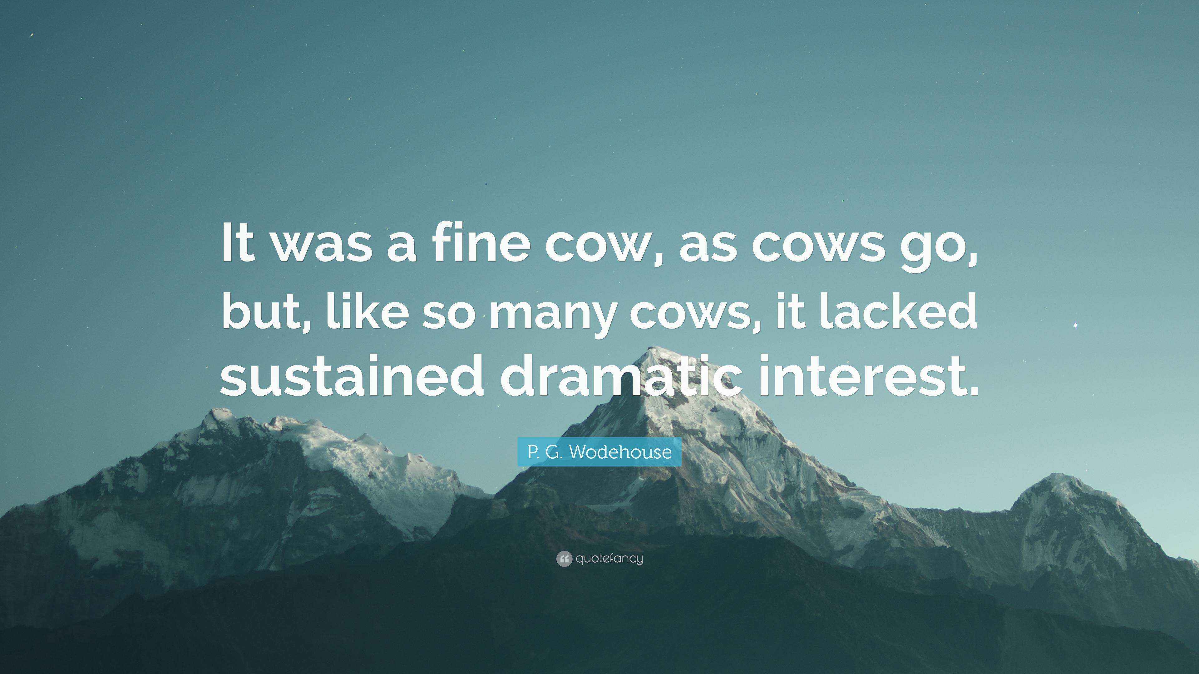 P. G. Wodehouse Quote: “It was a fine cow, as cows go, but, like so ...