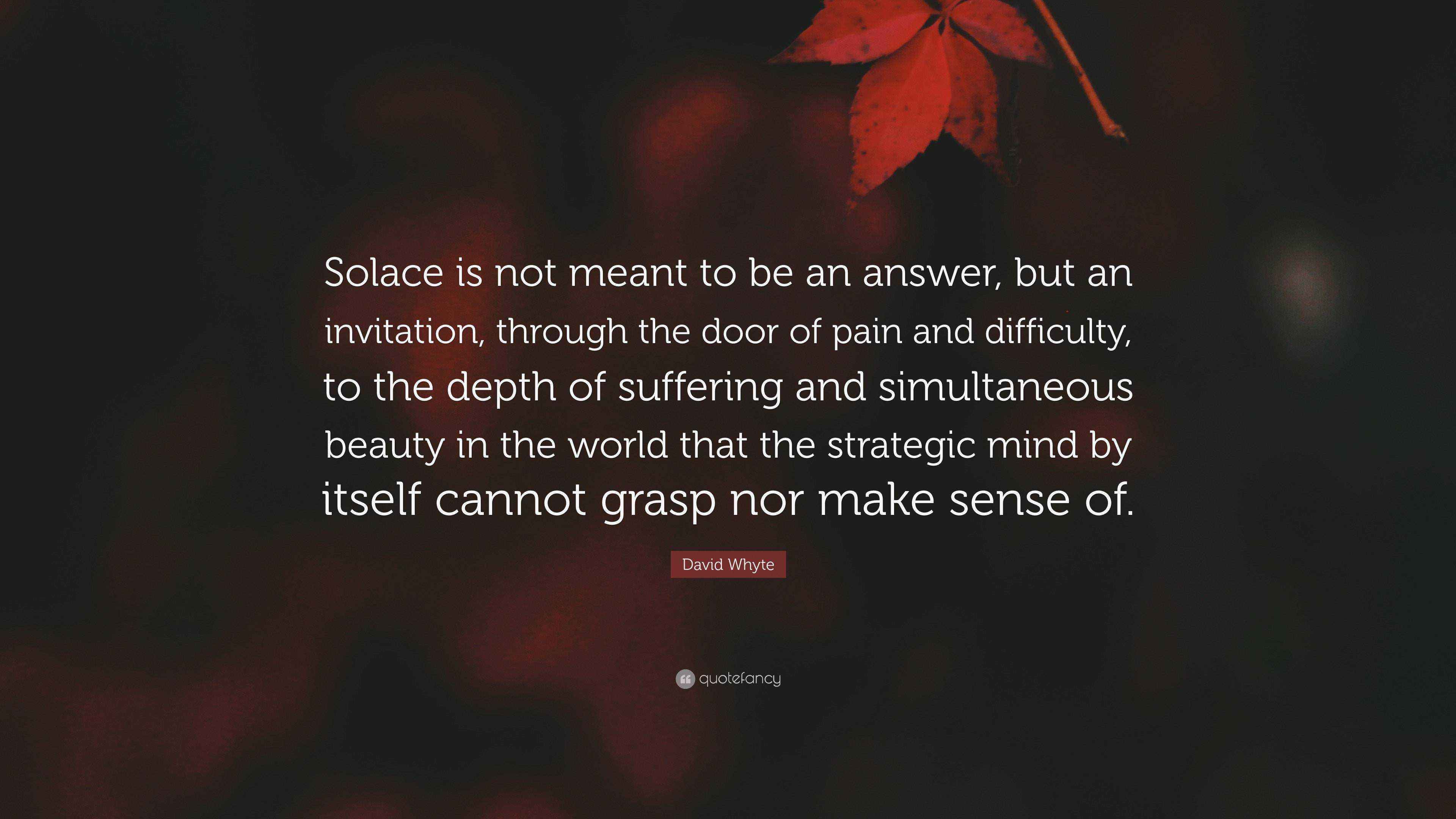 David Whyte Quote: “Solace is not meant to be an answer, but an ...