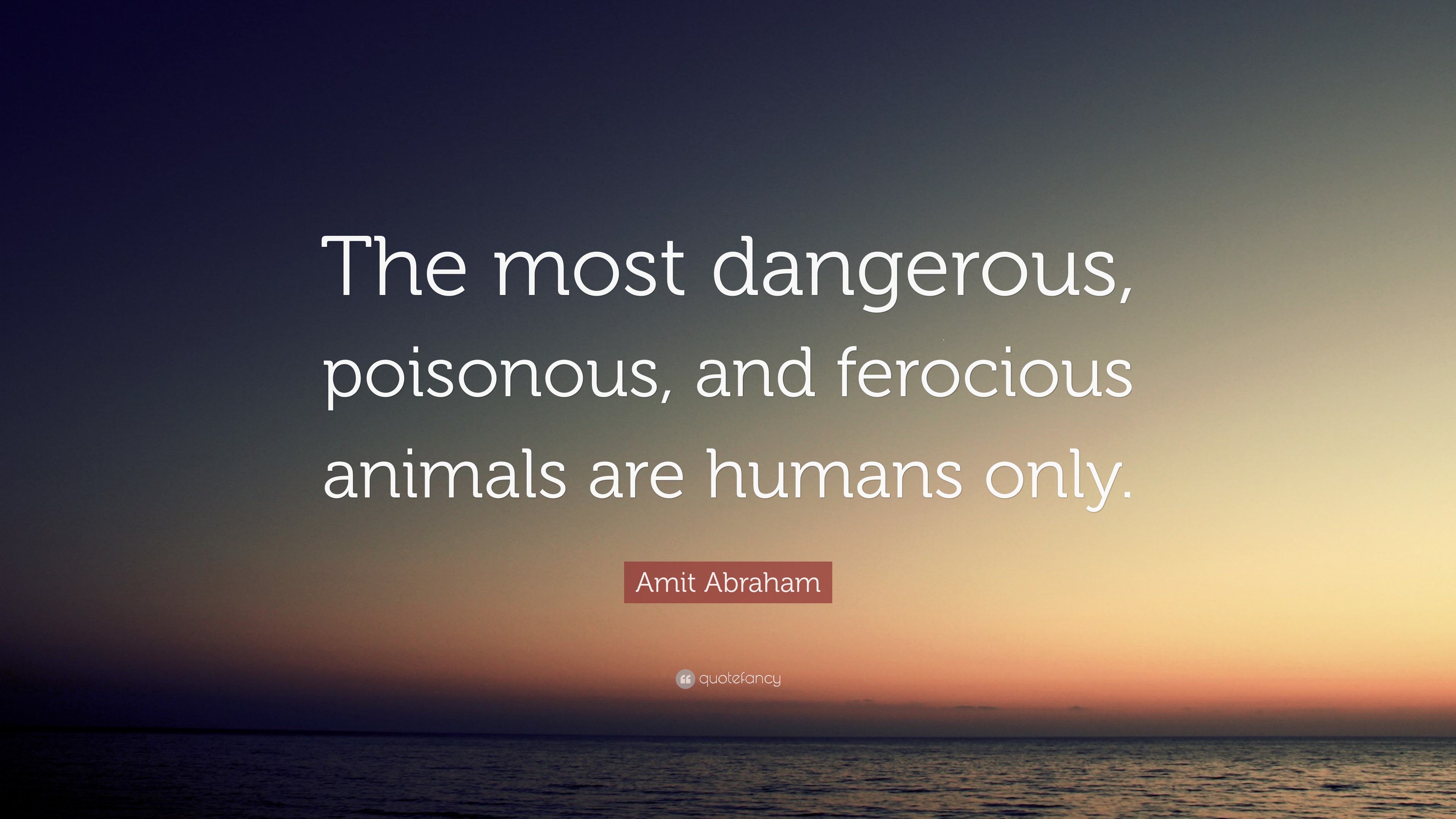 Amit Abraham Quote: “The most dangerous, poisonous, and ferocious ...