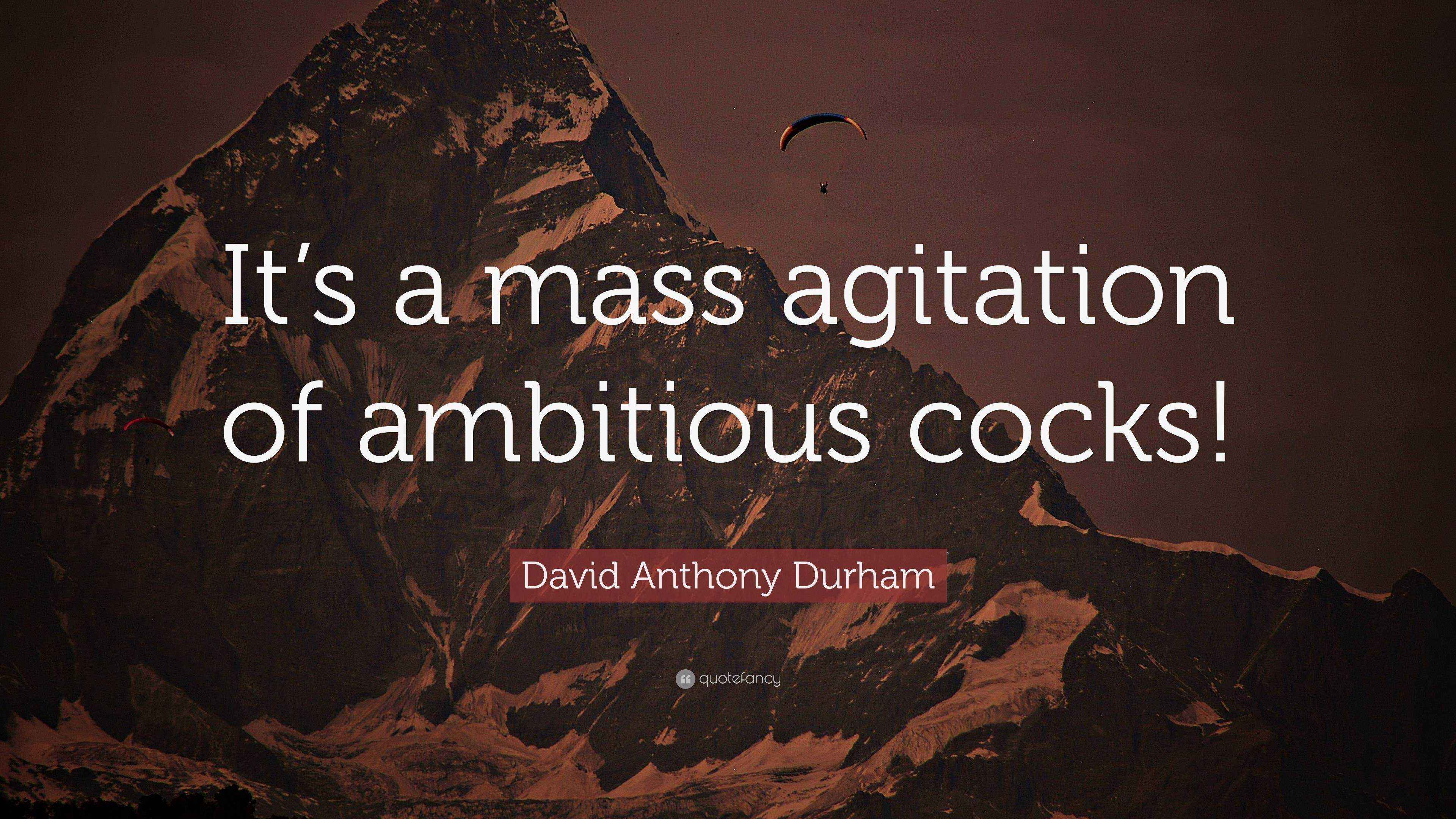 David Anthony Durham Quote: “It’s a mass agitation of ambitious cocks!”