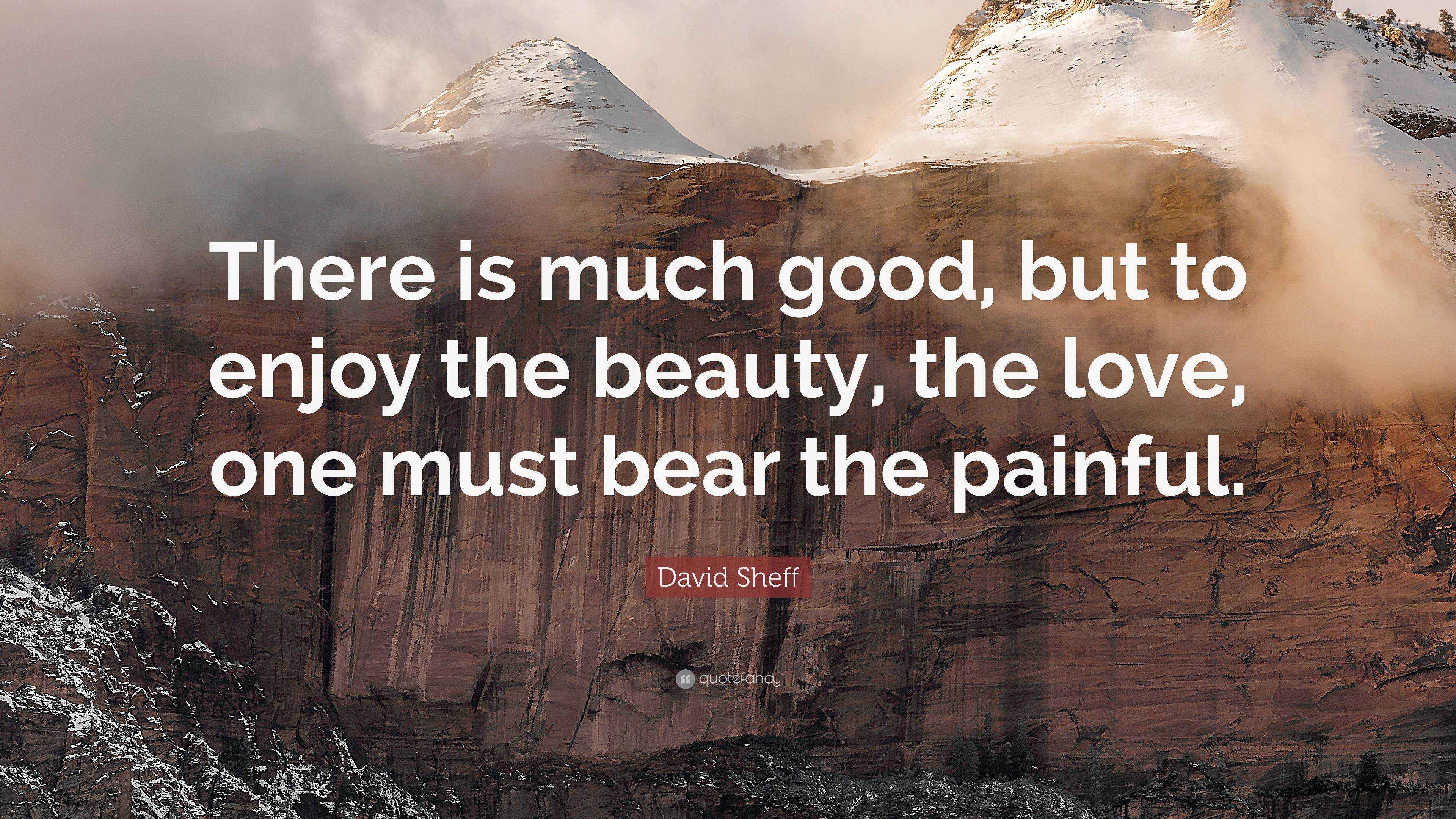 David Sheff Quote: “There is much good, but to enjoy the beauty, the ...