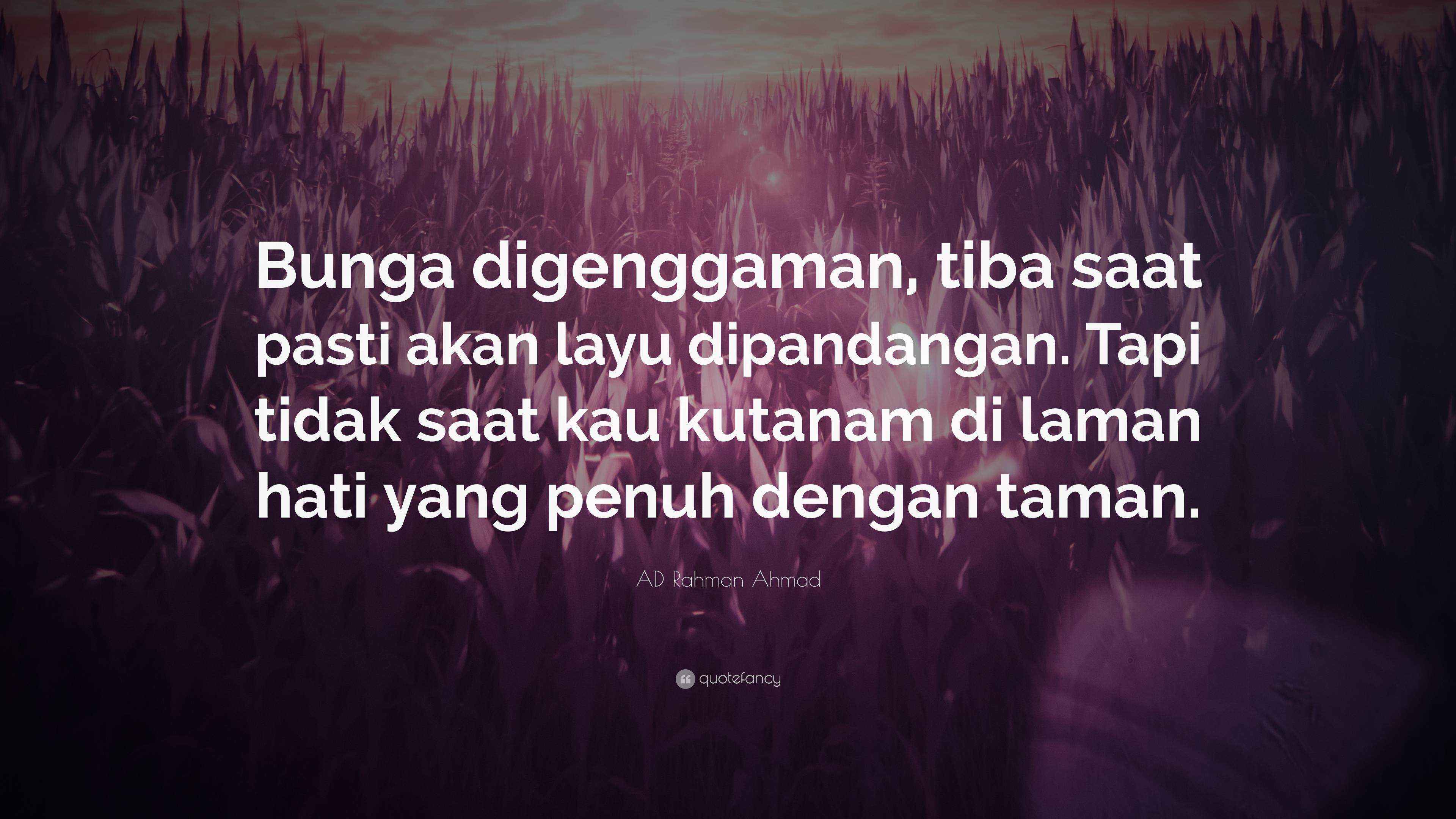 AD Rahman Ahmad Quote: “Bunga digenggaman, tiba saat pasti akan layu ...
