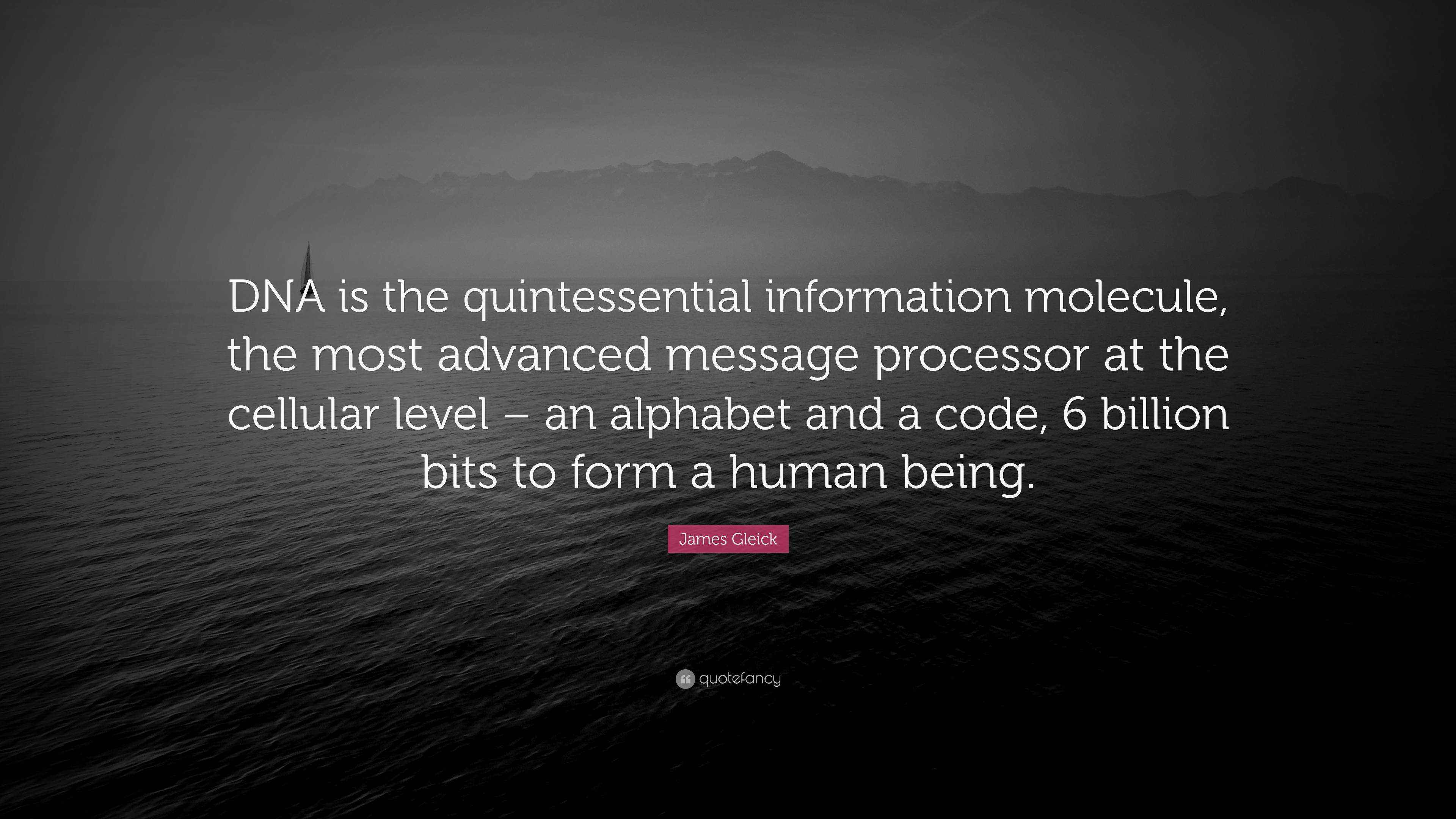 James Gleick Quote: “DNA is the quintessential information molecule ...