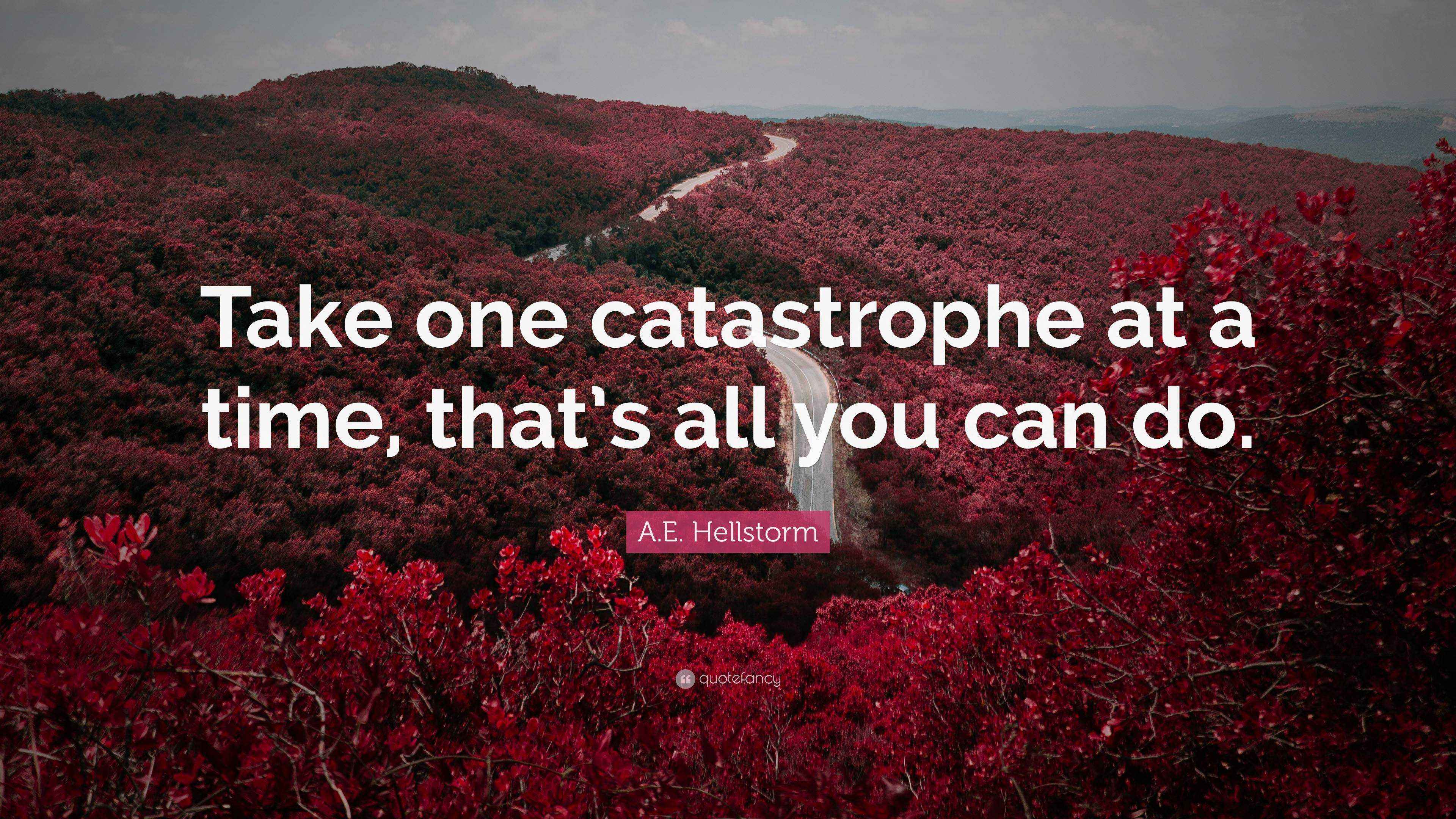 A.E. Hellstorm Quote: “Take one catastrophe at a time, that’s all you ...
