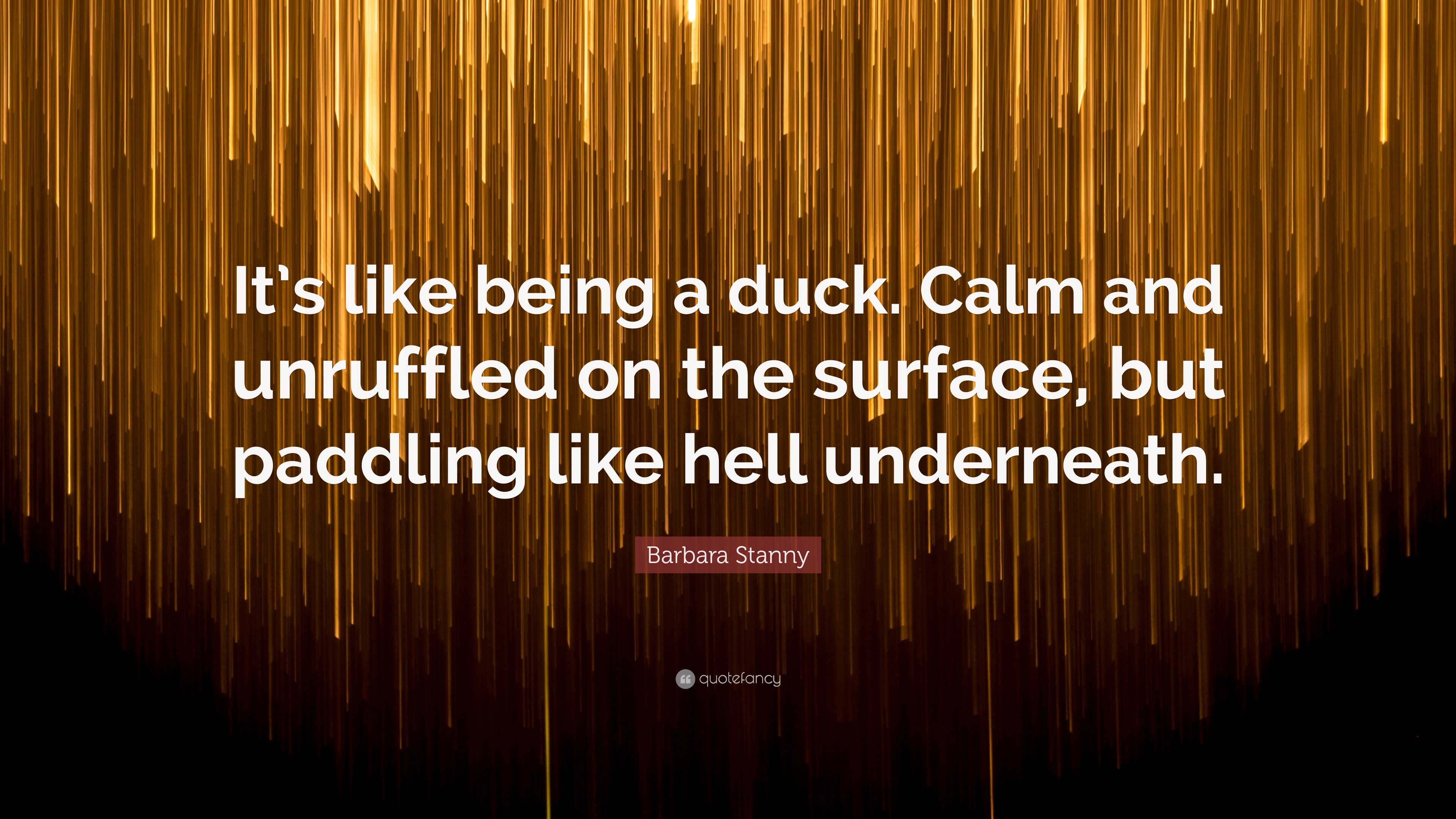Barbara Stanny Quote: “It’s like being a duck. Calm and unruffled on ...