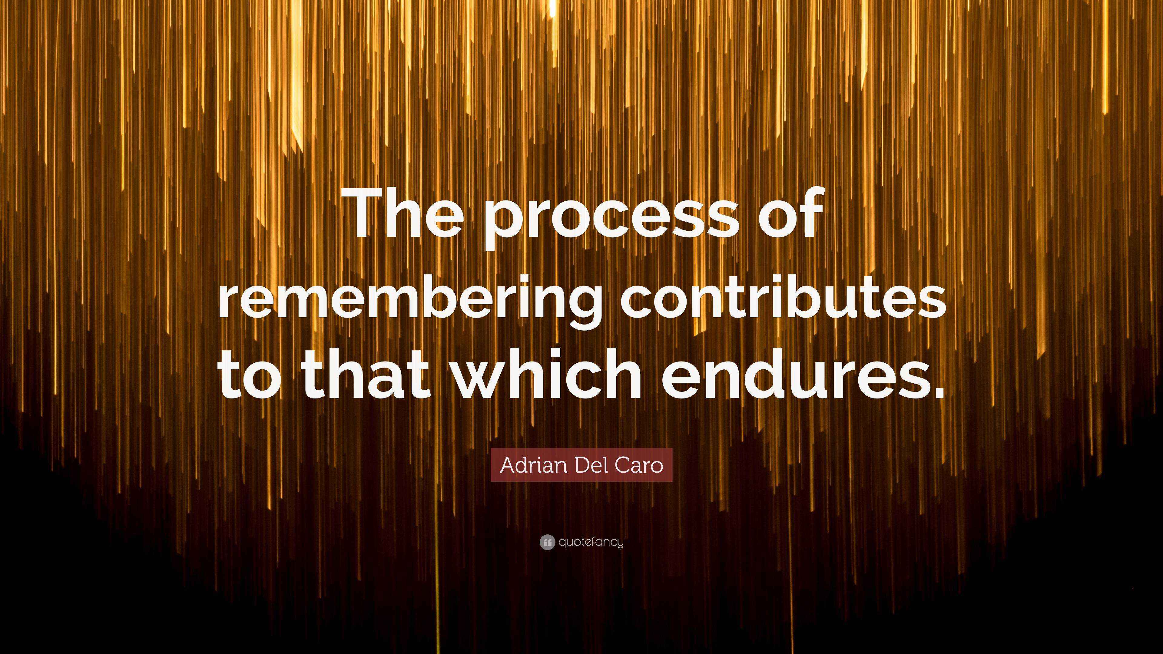 Adrian Del Caro Quote: “The process of remembering contributes to that ...