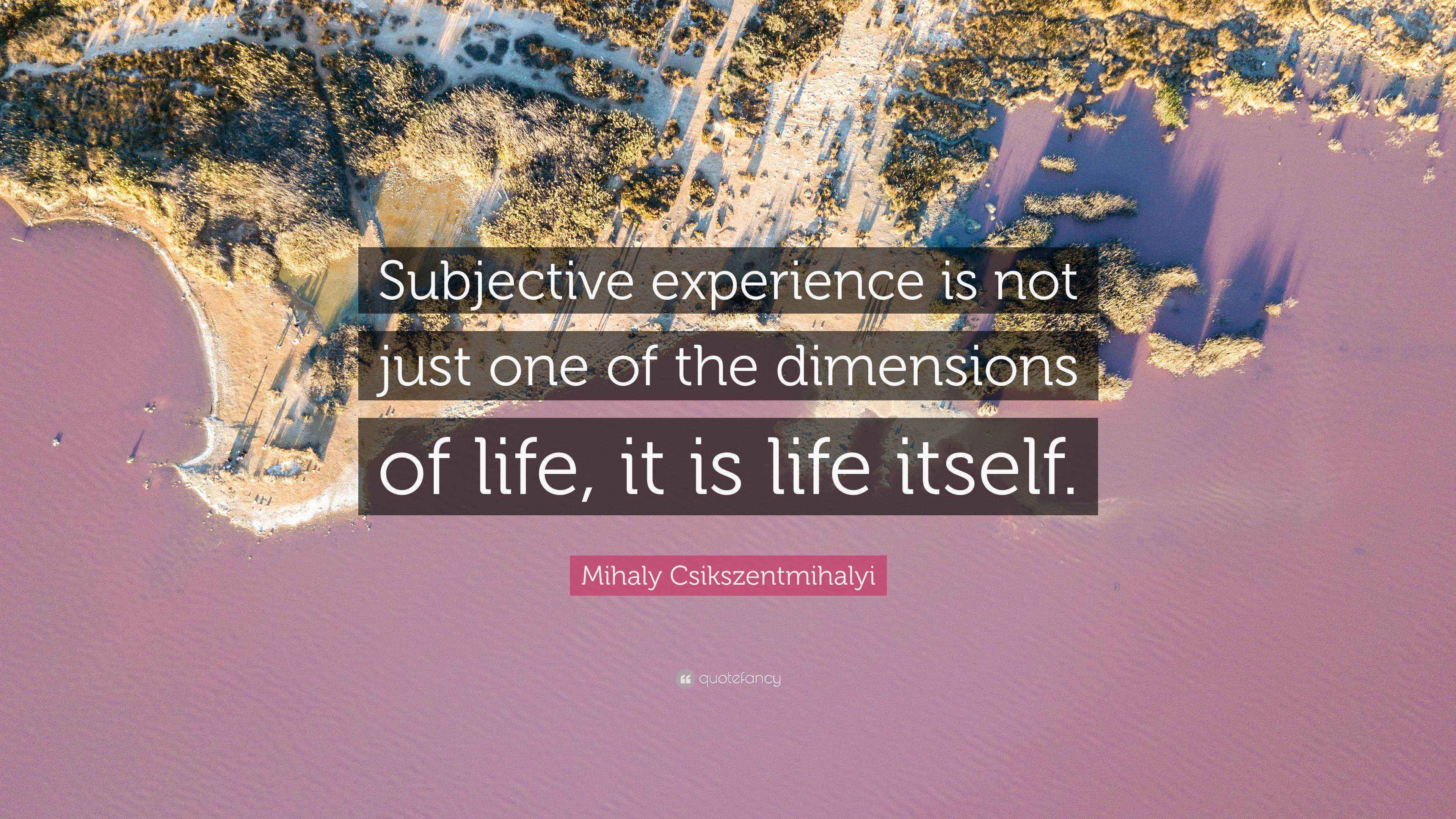Mihaly Csikszentmihalyi Quote: “Subjective experience is not just one ...