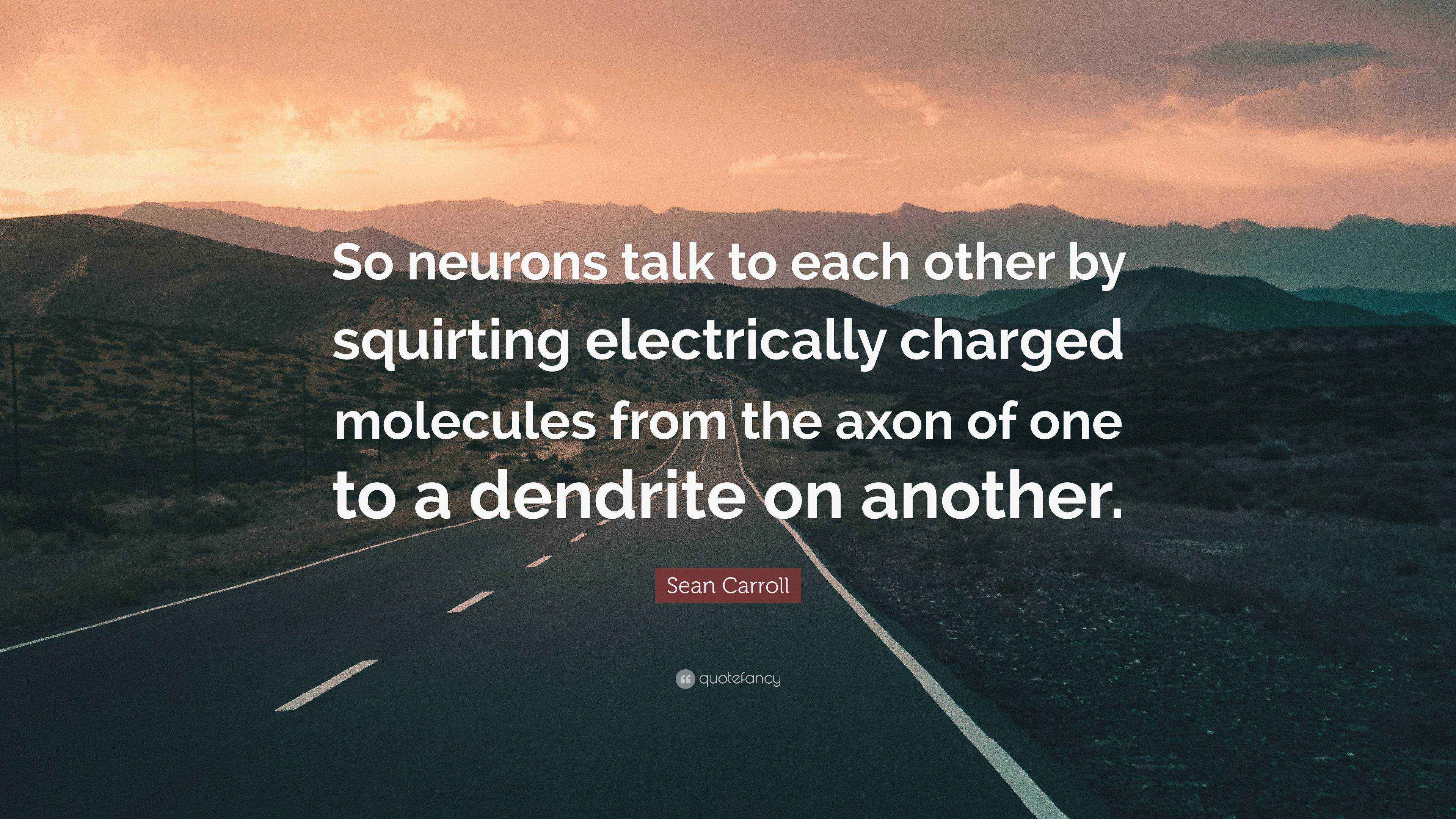 Sean Carroll Quote: “So neurons talk to each other by squirting ...