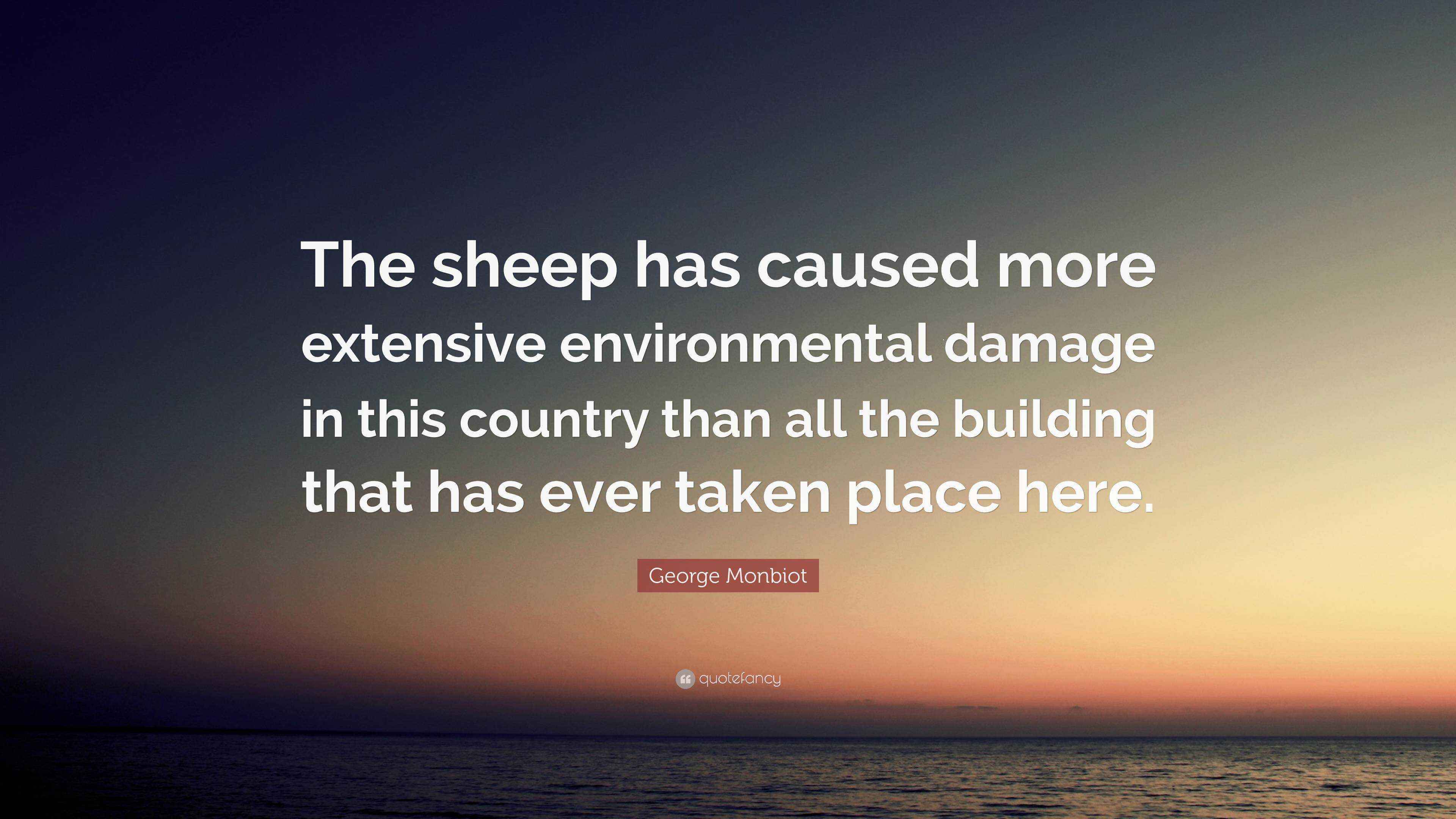 George Monbiot Quote: “The sheep has caused more extensive ...