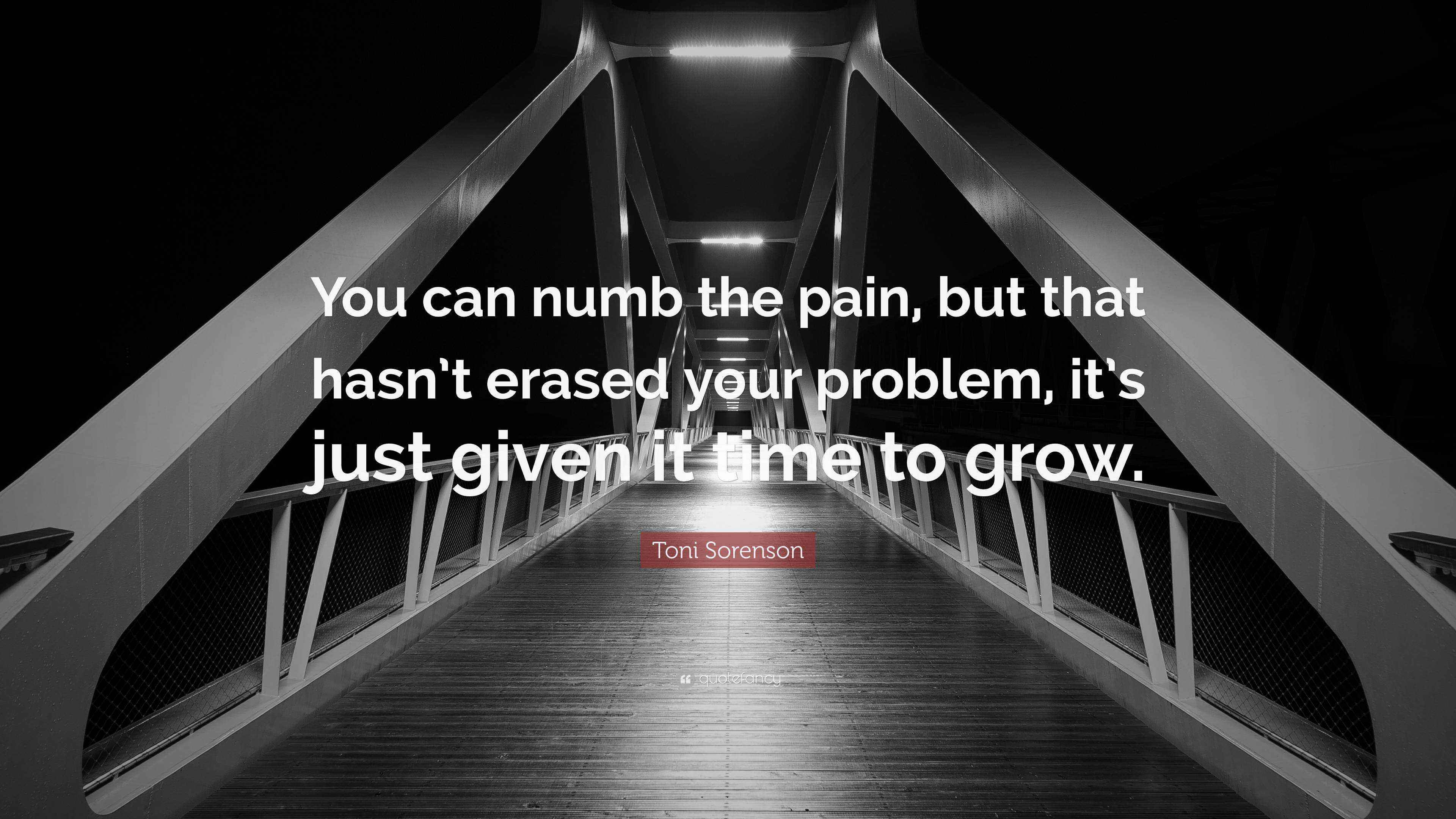 Toni Sorenson Quote: “You can numb the pain, but that hasn’t erased ...