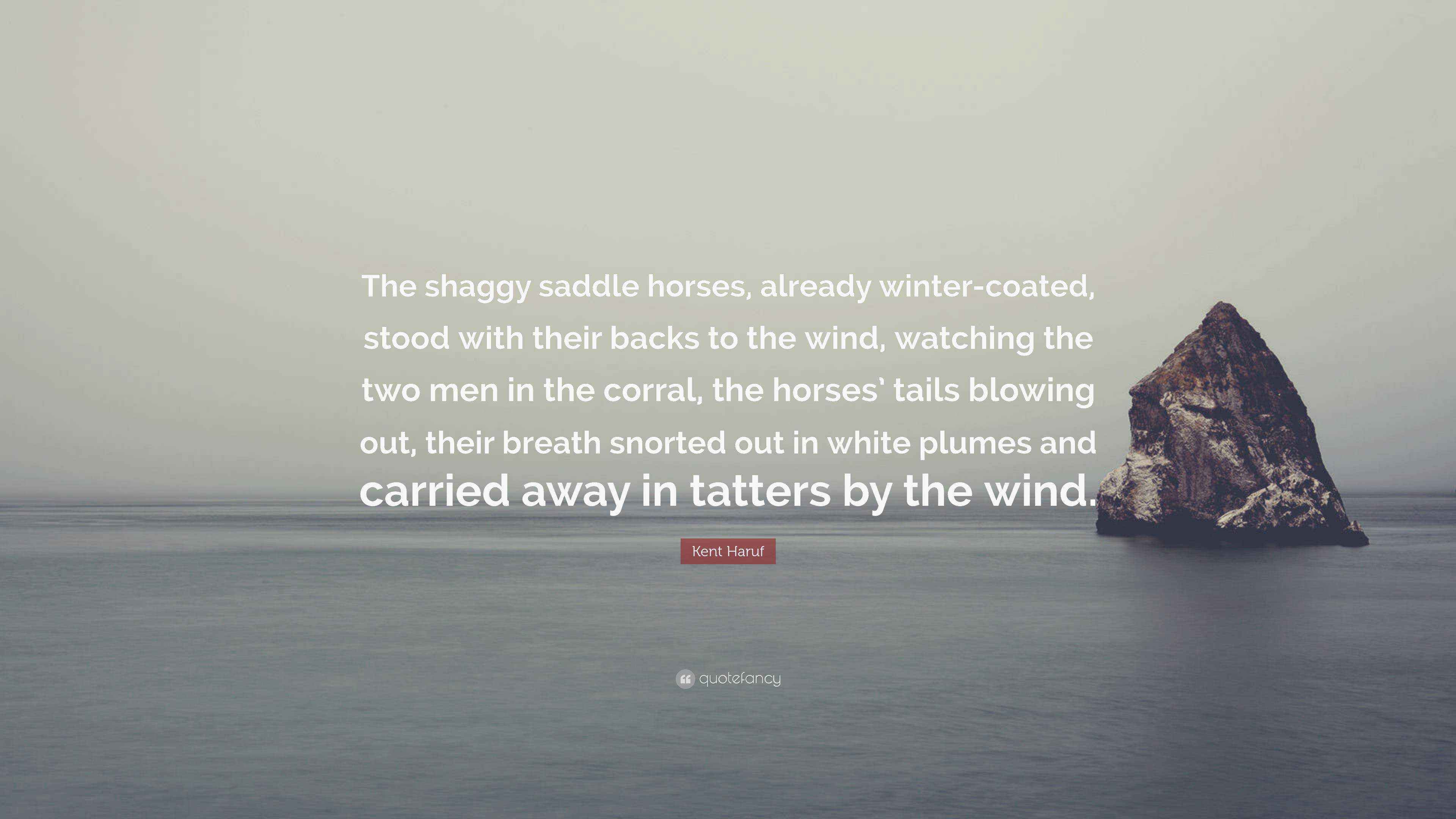 Kent Haruf Quote: “The shaggy saddle horses, already winter-coated ...