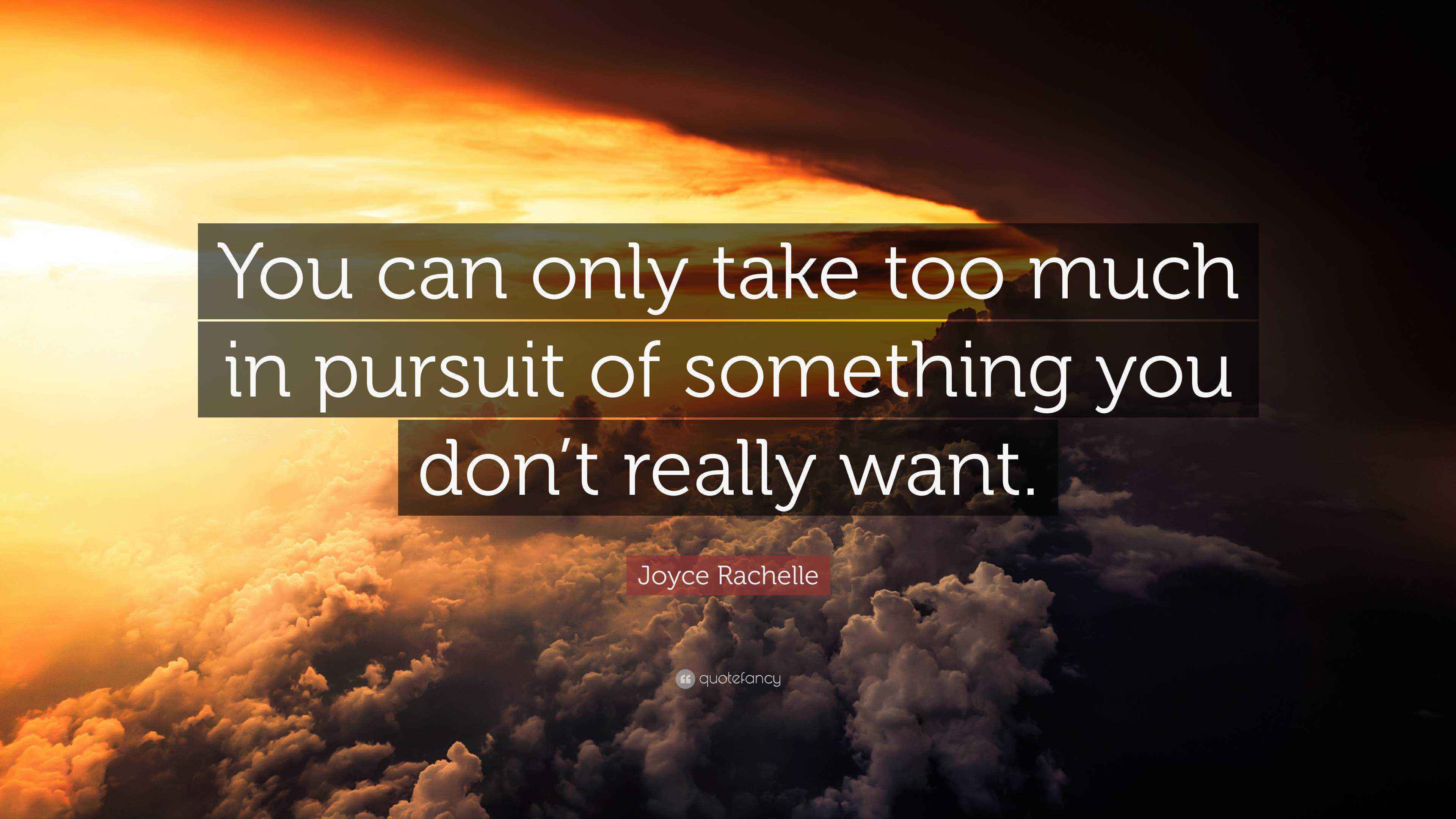 Joyce Rachelle Quote: “You can only take too much in pursuit of ...