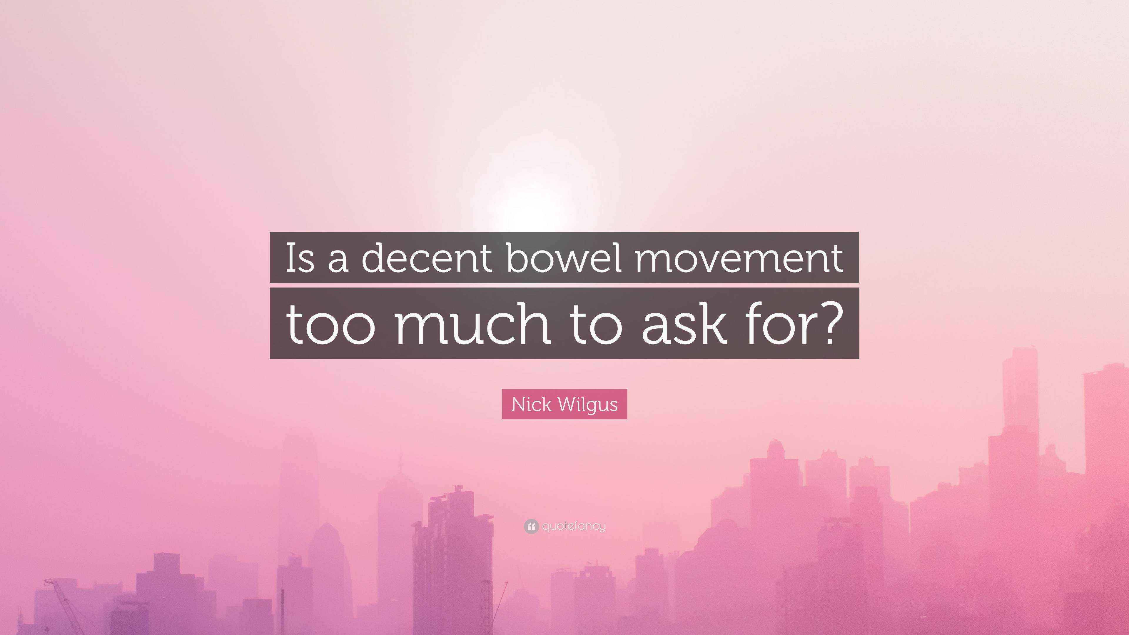 Nick Wilgus Quote: “Is a decent bowel movement too much to ask for?”