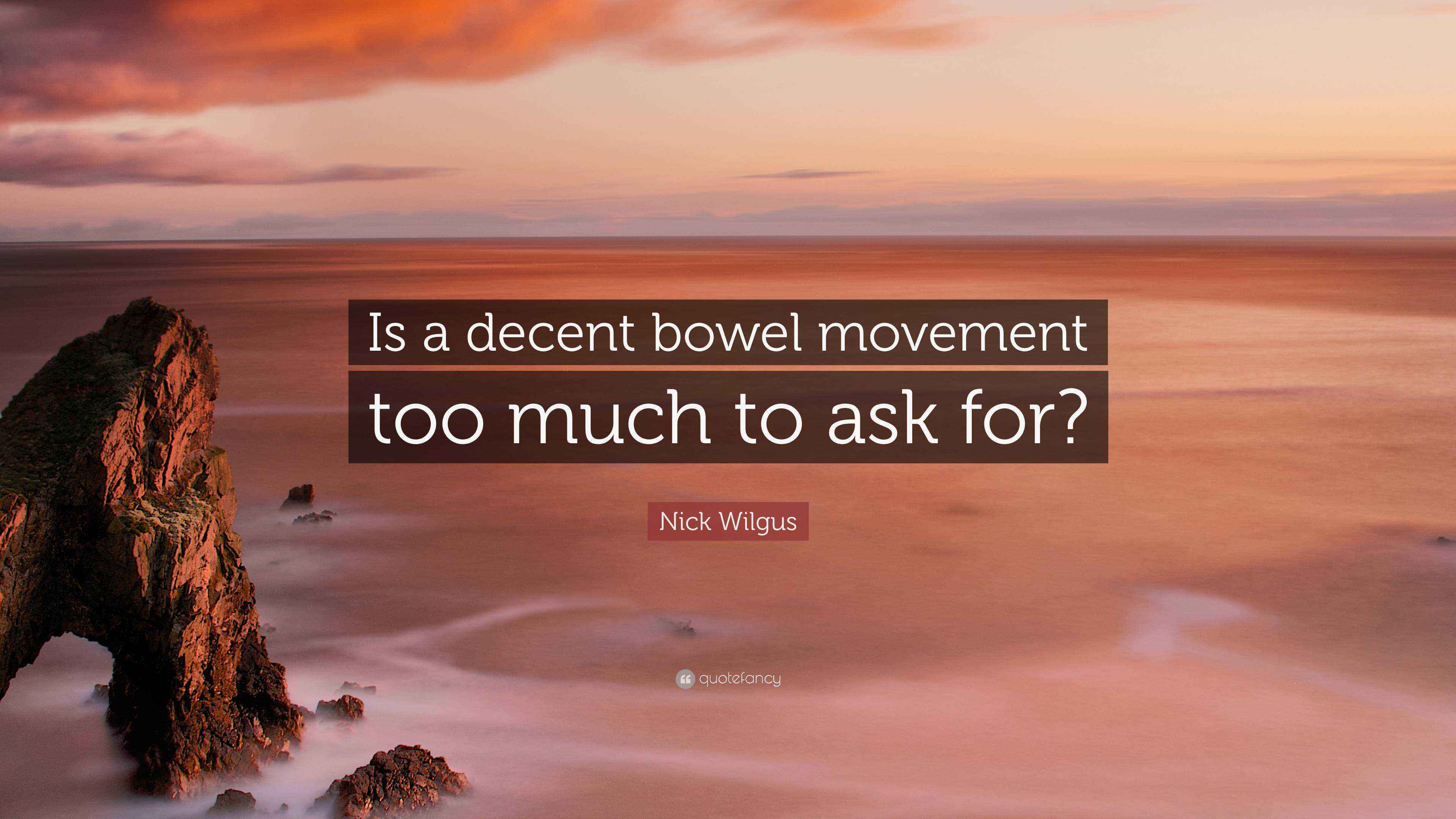 Nick Wilgus Quote: “Is a decent bowel movement too much to ask for?”