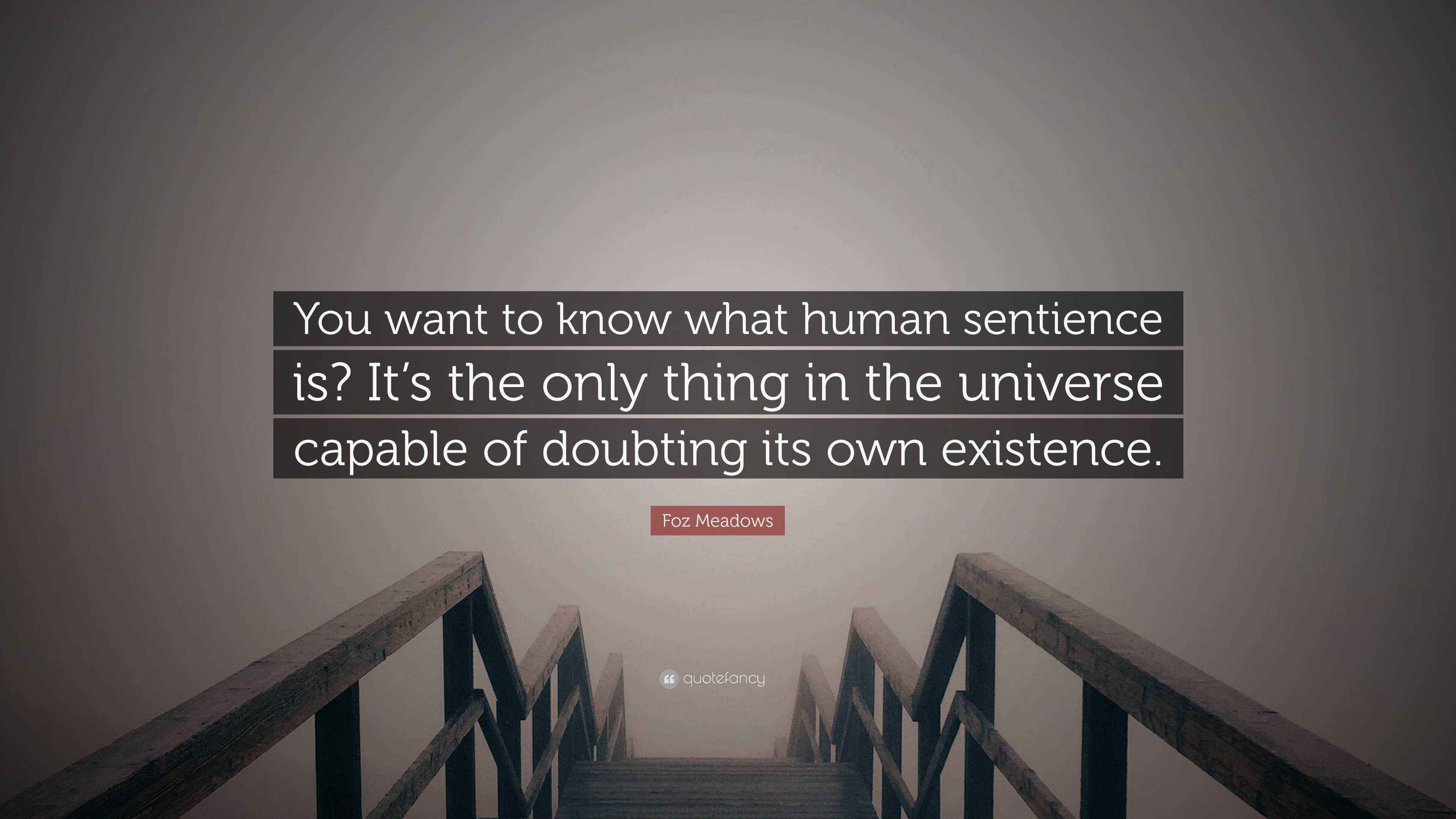 Foz Meadows Quote: “You want to know what human sentience is? It’s the ...