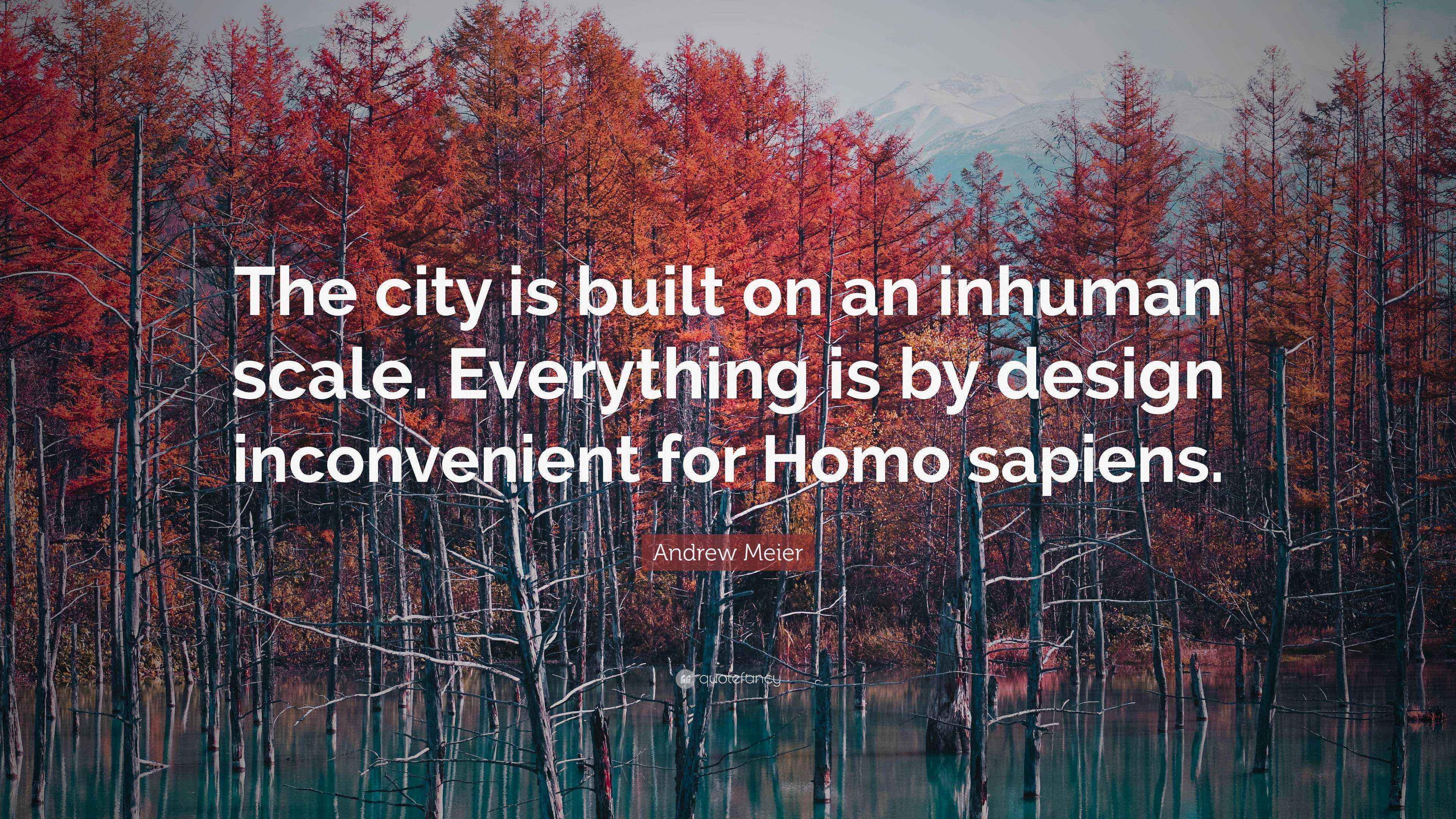 Andrew Meier Quote: “The city is built on an inhuman scale. Everything ...