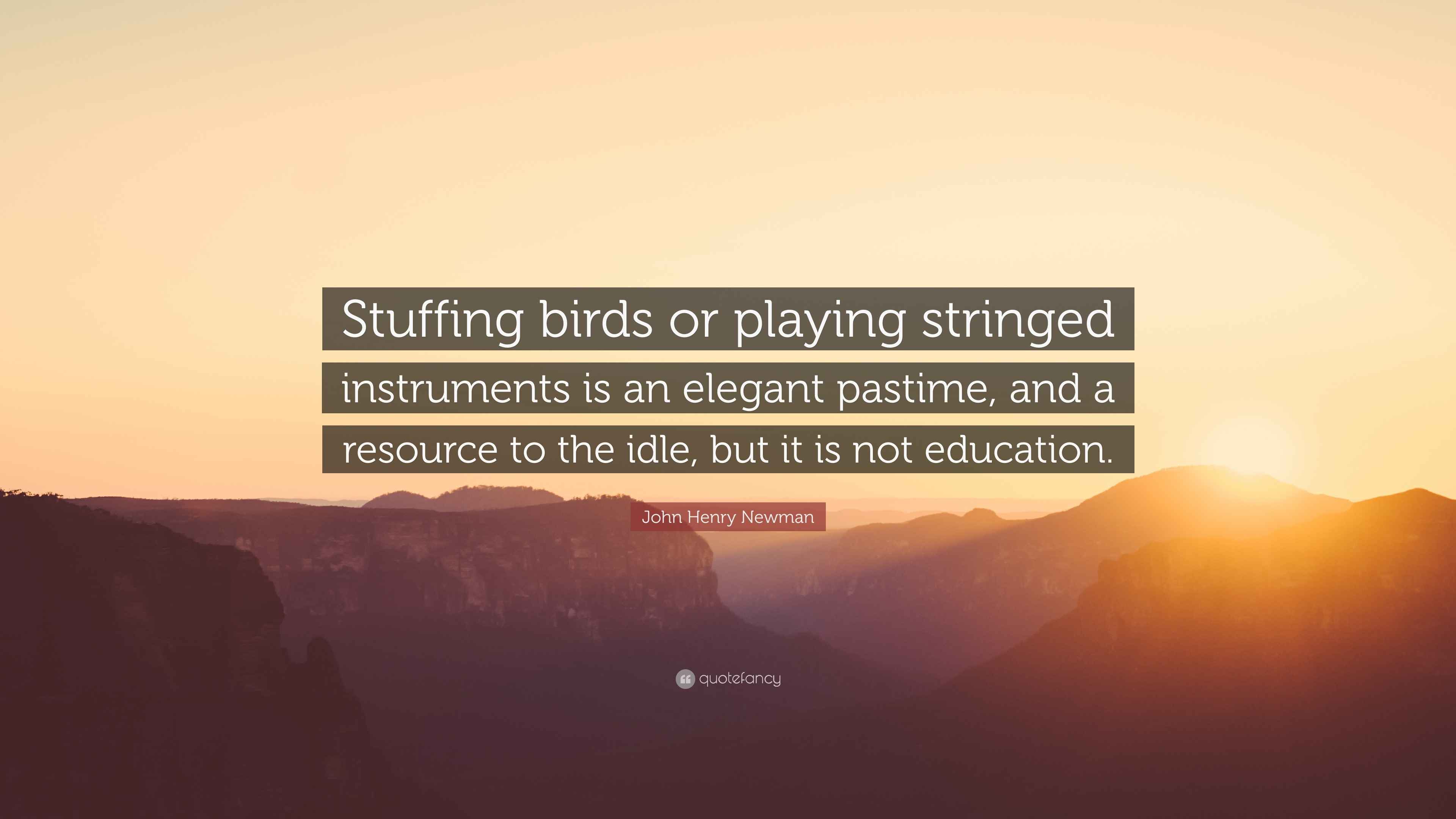 John Henry Newman Quote: “Stuffing birds or playing stringed ...