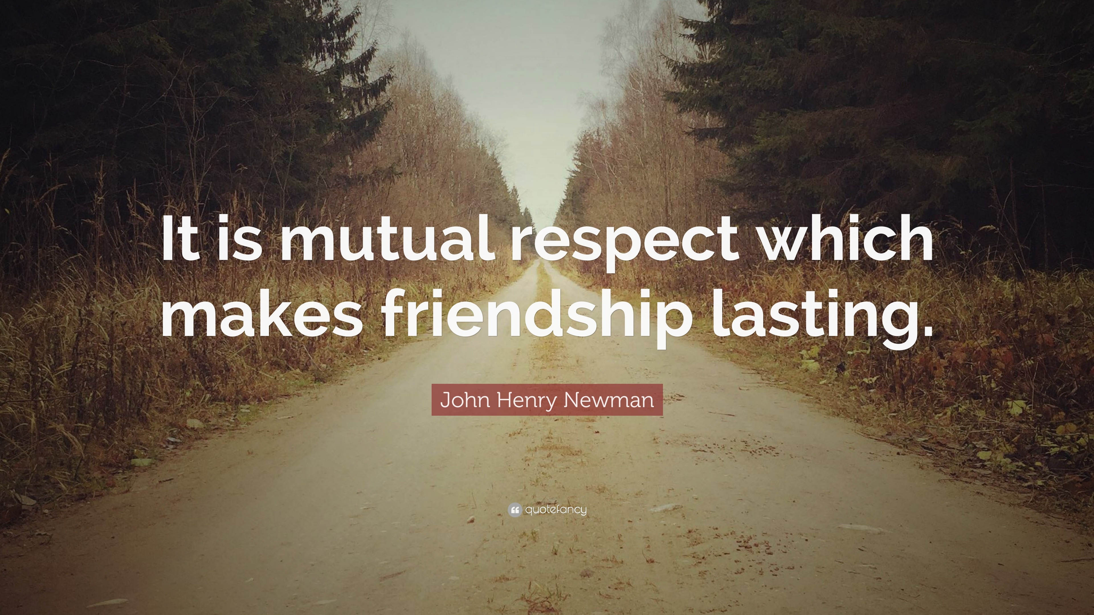 John Henry Newman Quote: “It is mutual respect which makes friendship ...