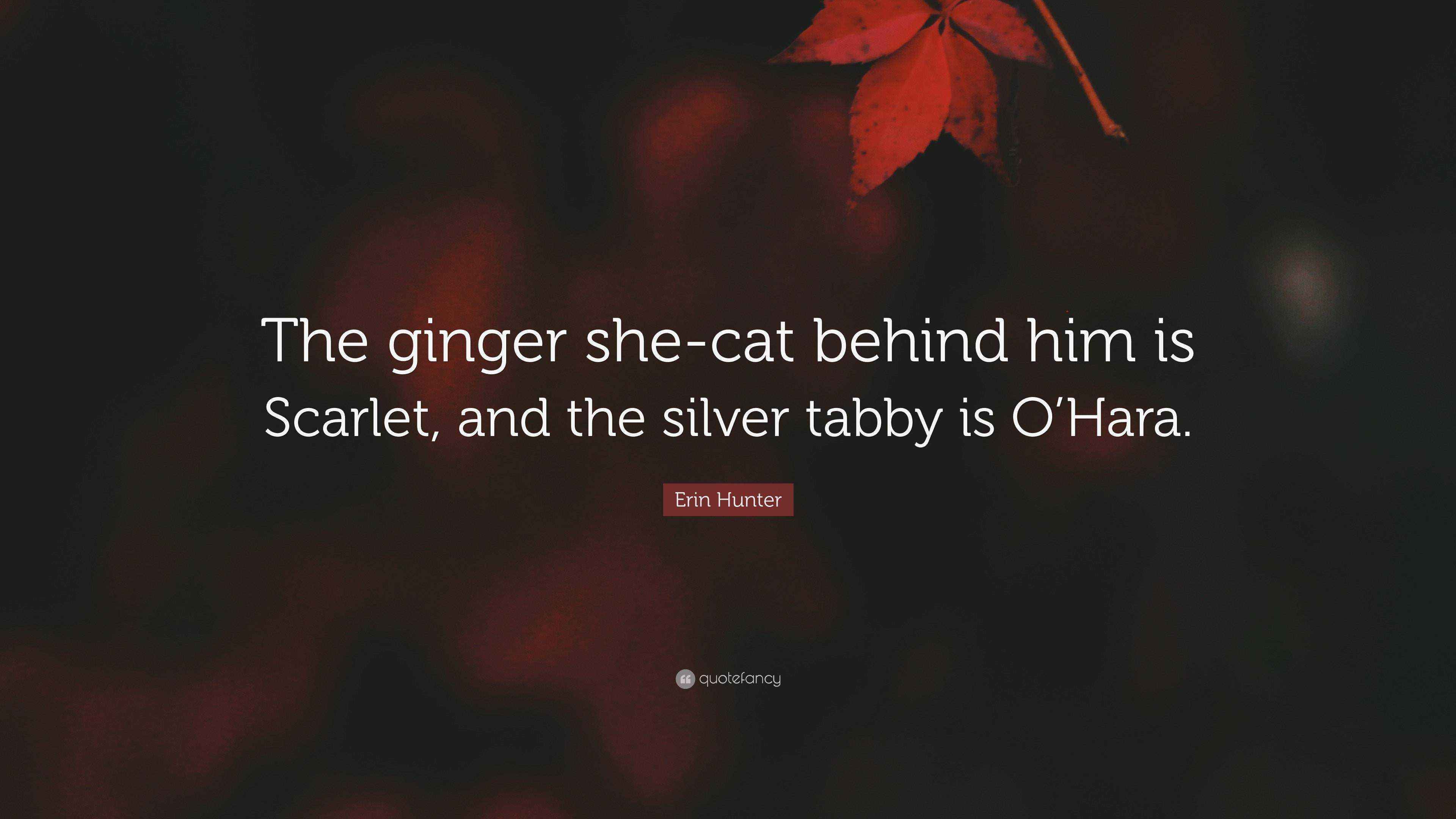 Erin Hunter Quote: “The ginger she-cat behind him is Scarlet, and the ...