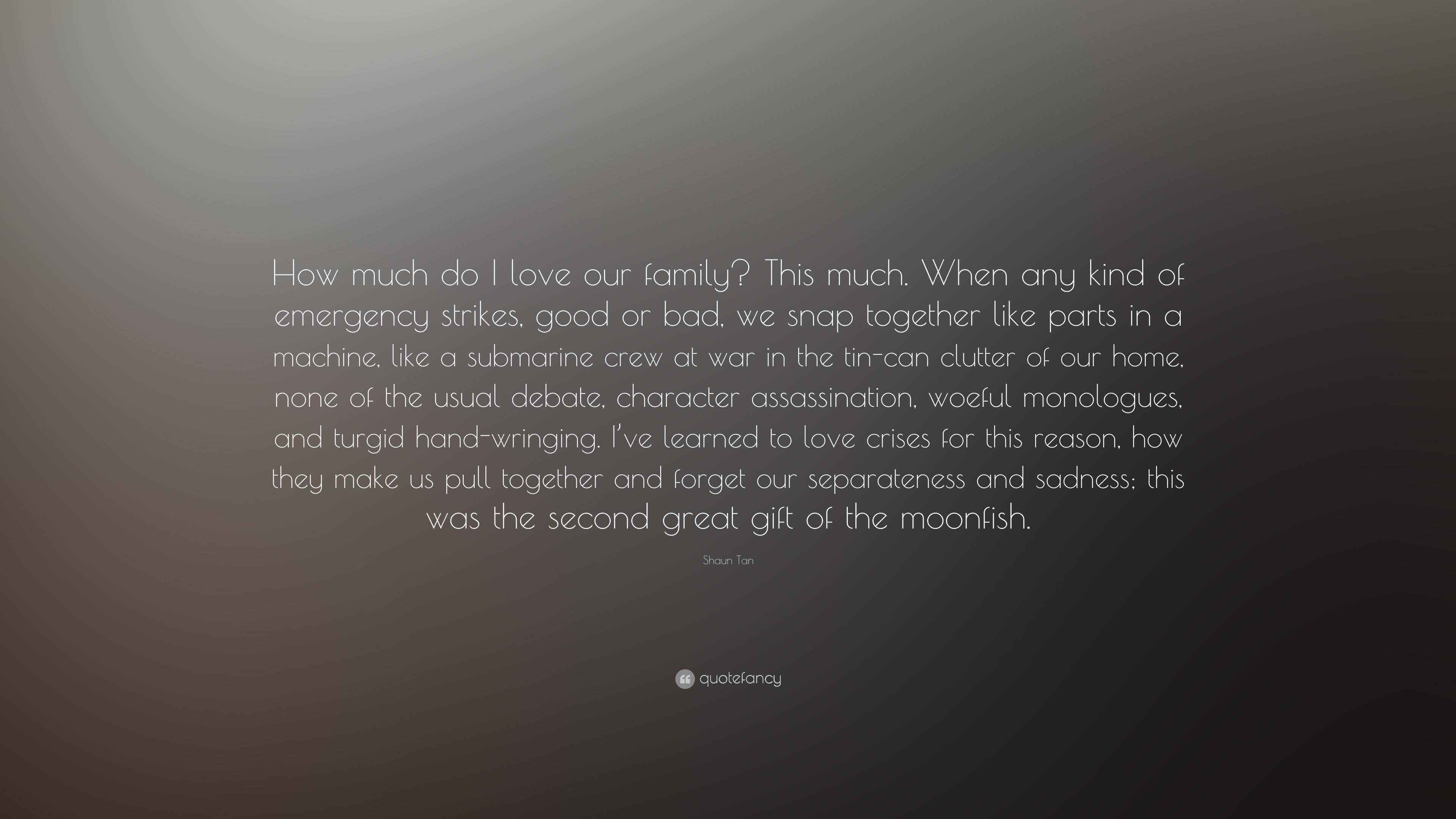 Shaun Tan Quote: “How much do I love our family? This much. When any ...