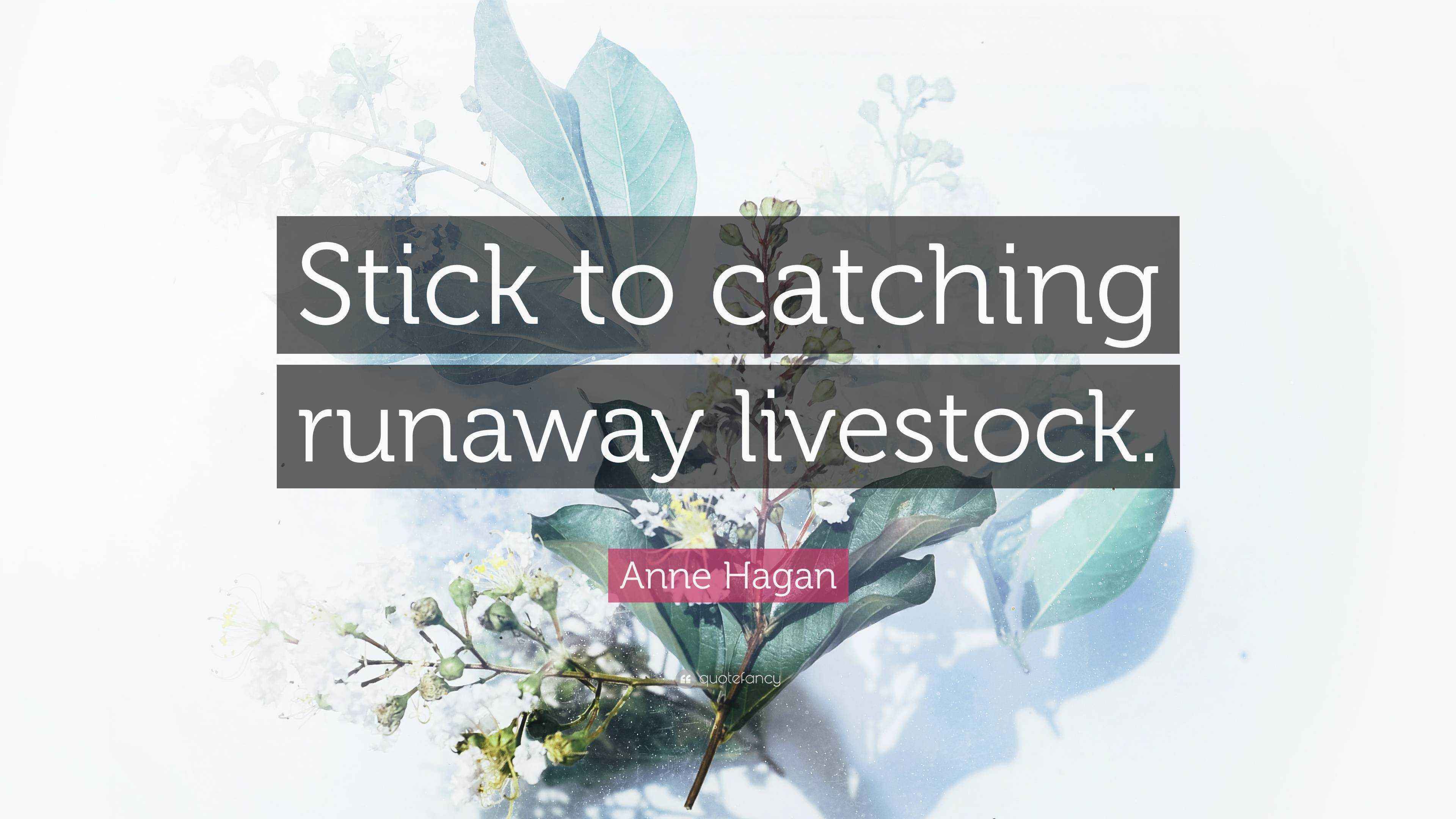 Anne Hagan Quote: “Stick to catching runaway livestock.”