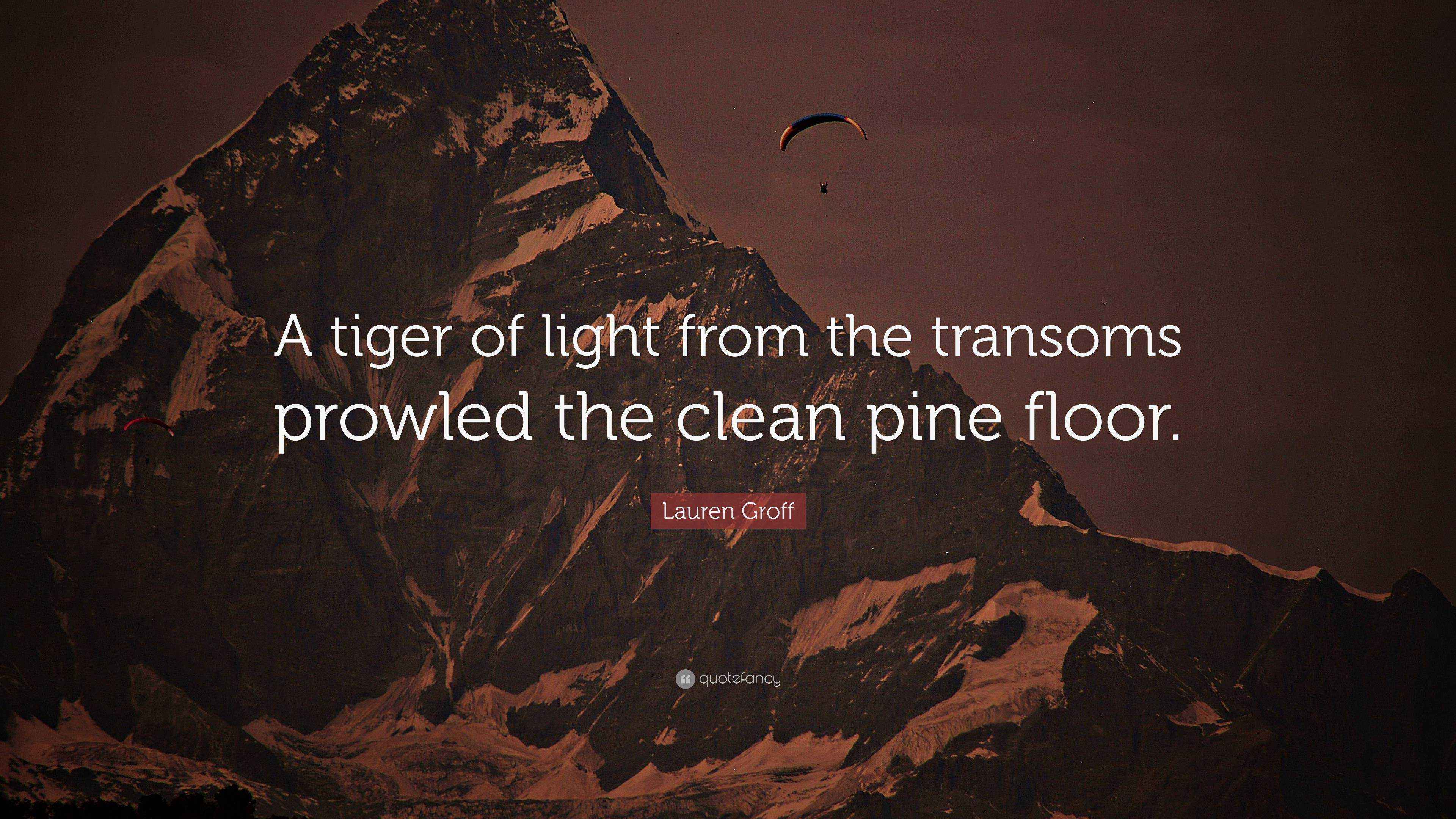 Lauren Groff Quote: “A tiger of light from the transoms prowled the ...