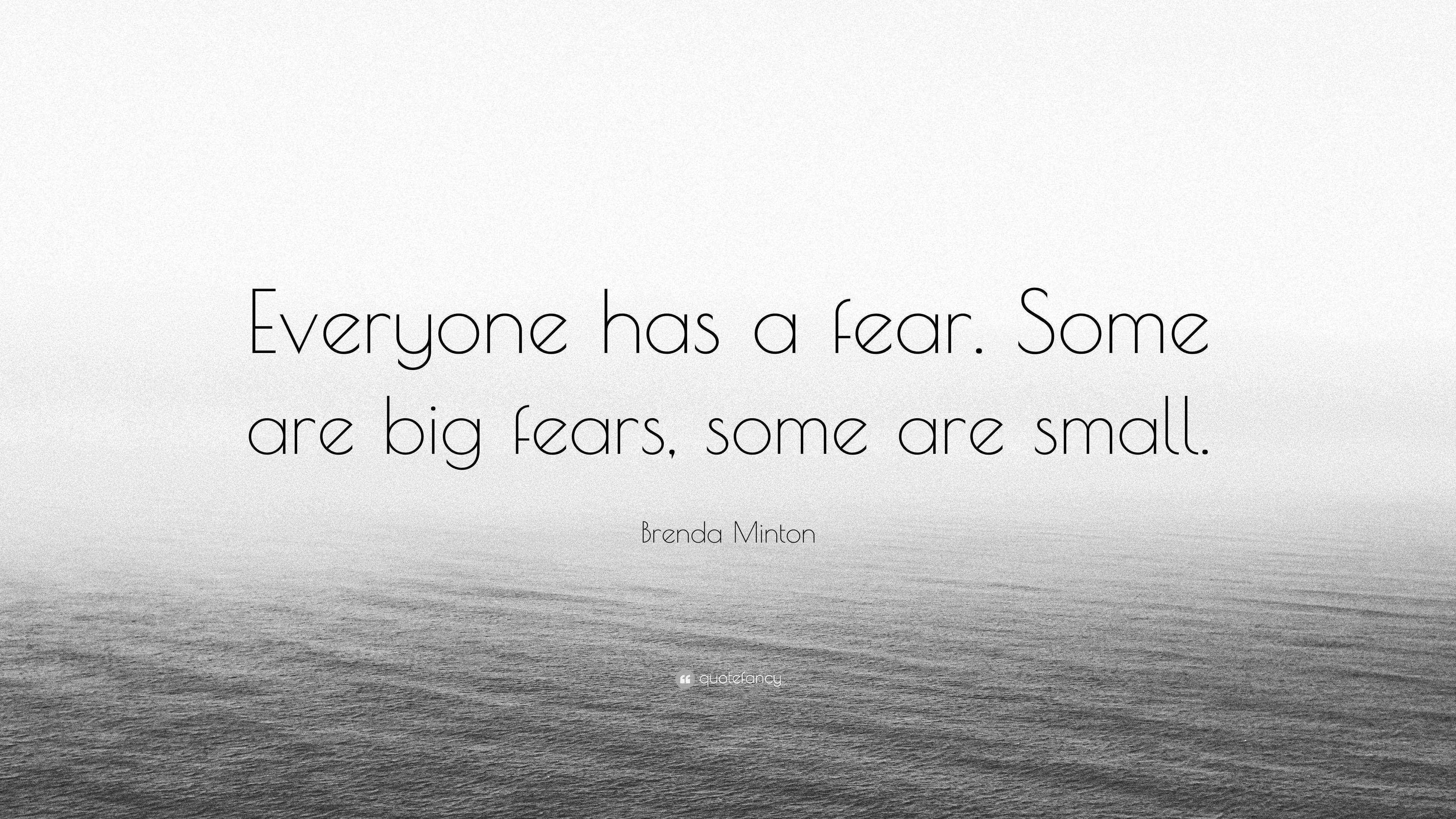 Brenda Minton Quote: “Everyone has a fear. Some are big fears, some are ...