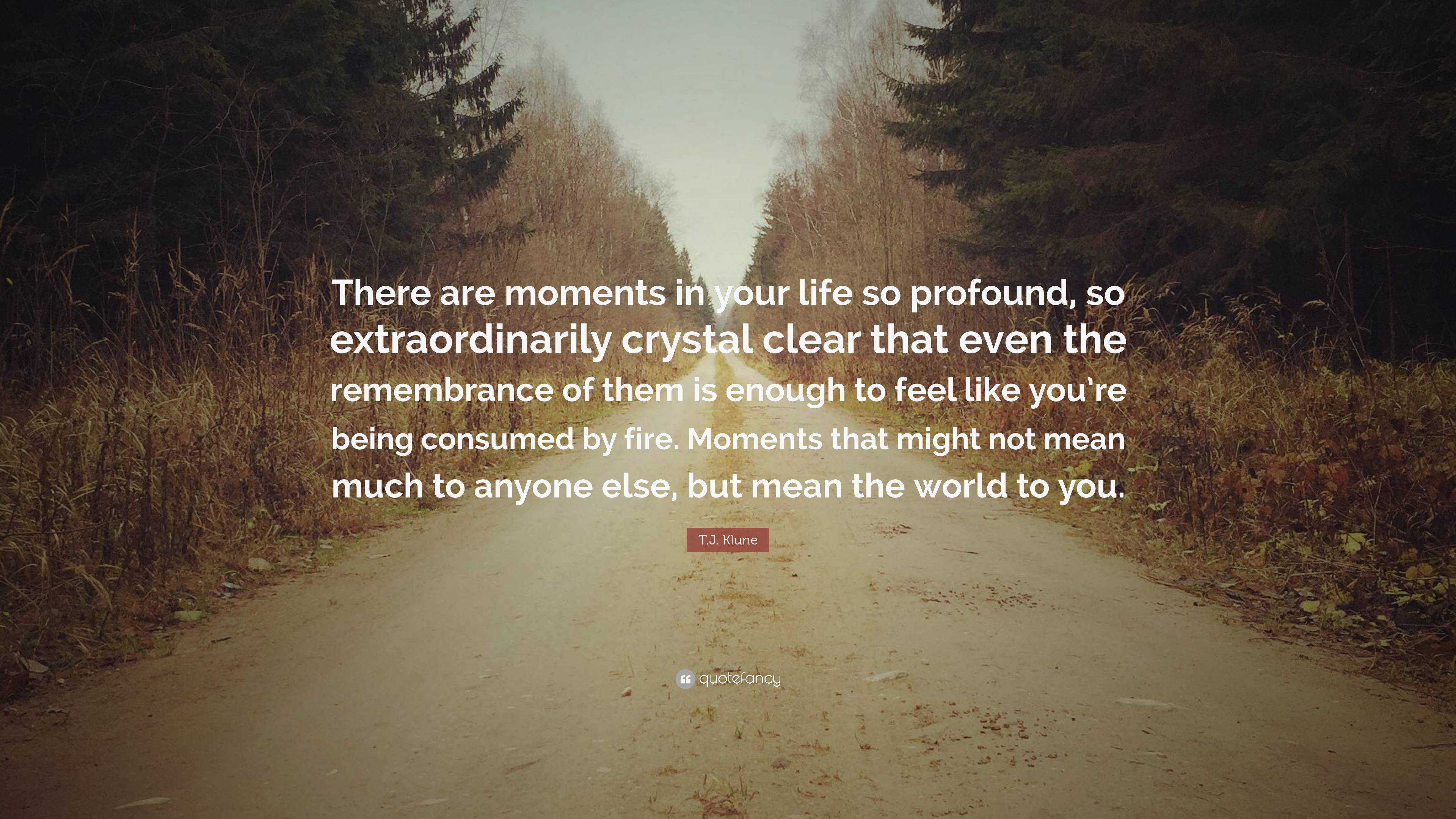 T.J. Klune Quote: “There are moments in your life so profound, so extraordinarily crystal clear ...