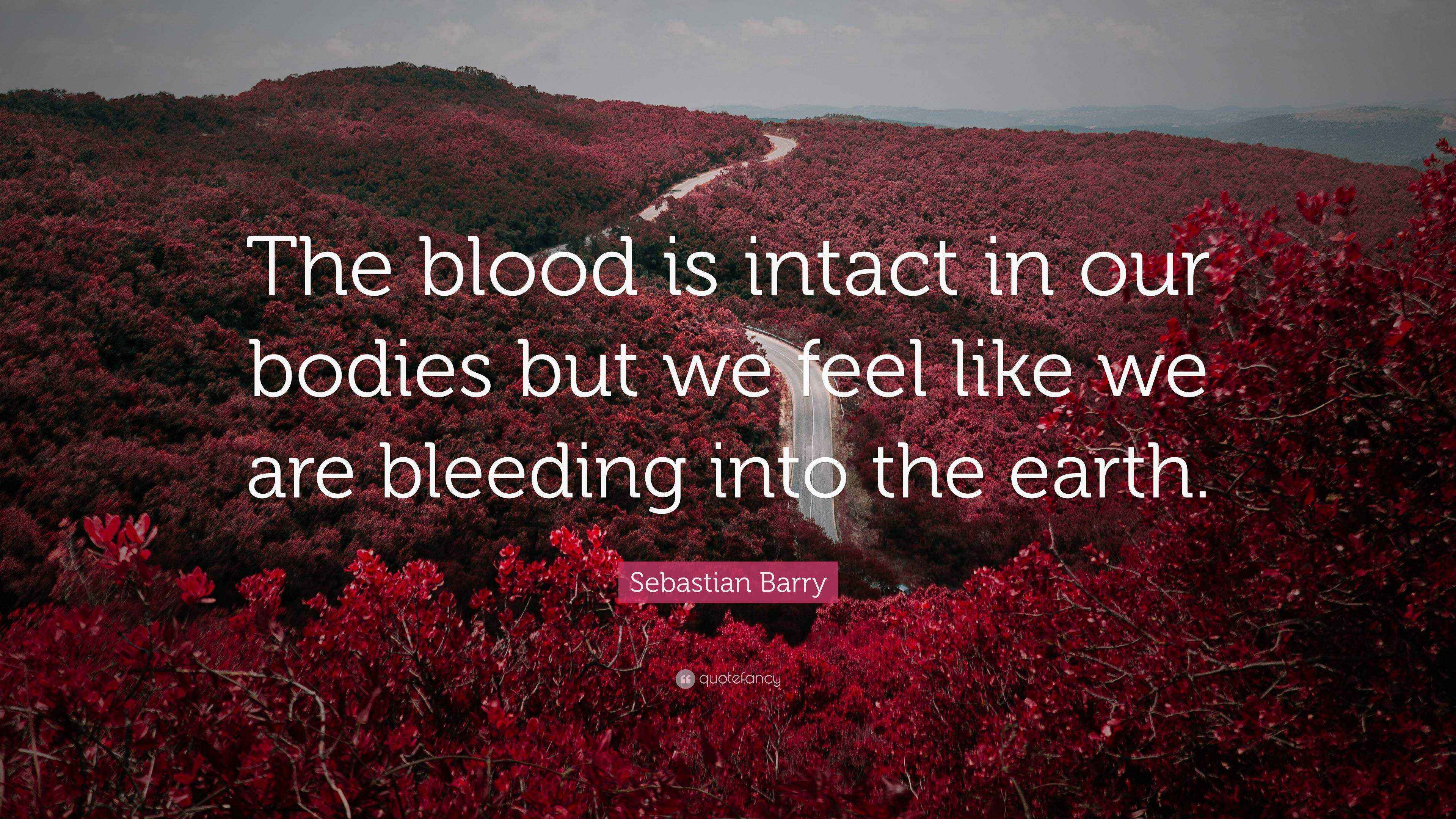 Sebastian Barry Quote: “The blood is intact in our bodies but we feel ...