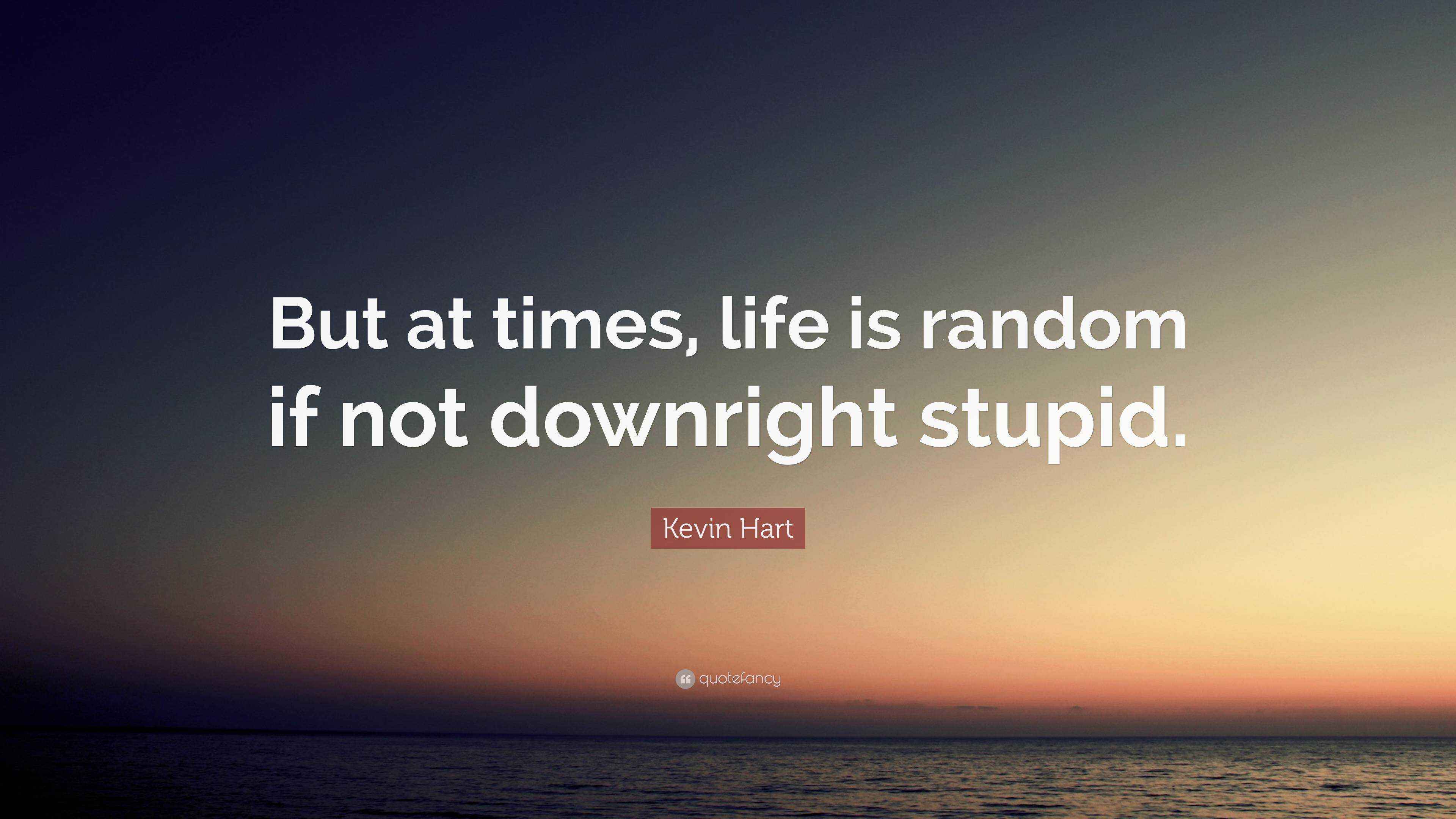 Kevin Hart Quote: “But at times, life is random if not downright stupid.”