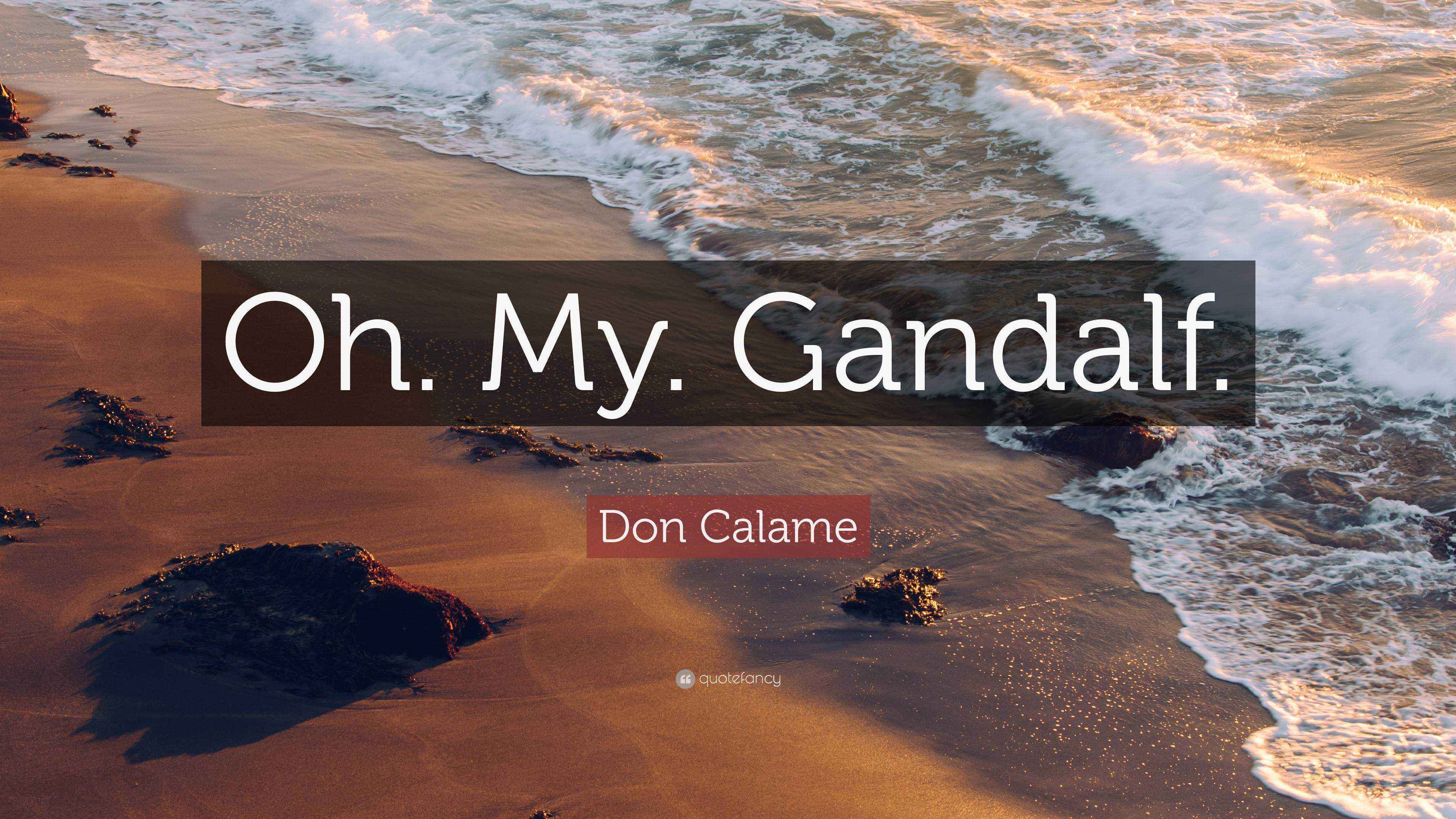 Don Calame Quote: “Oh. My. Gandalf.”