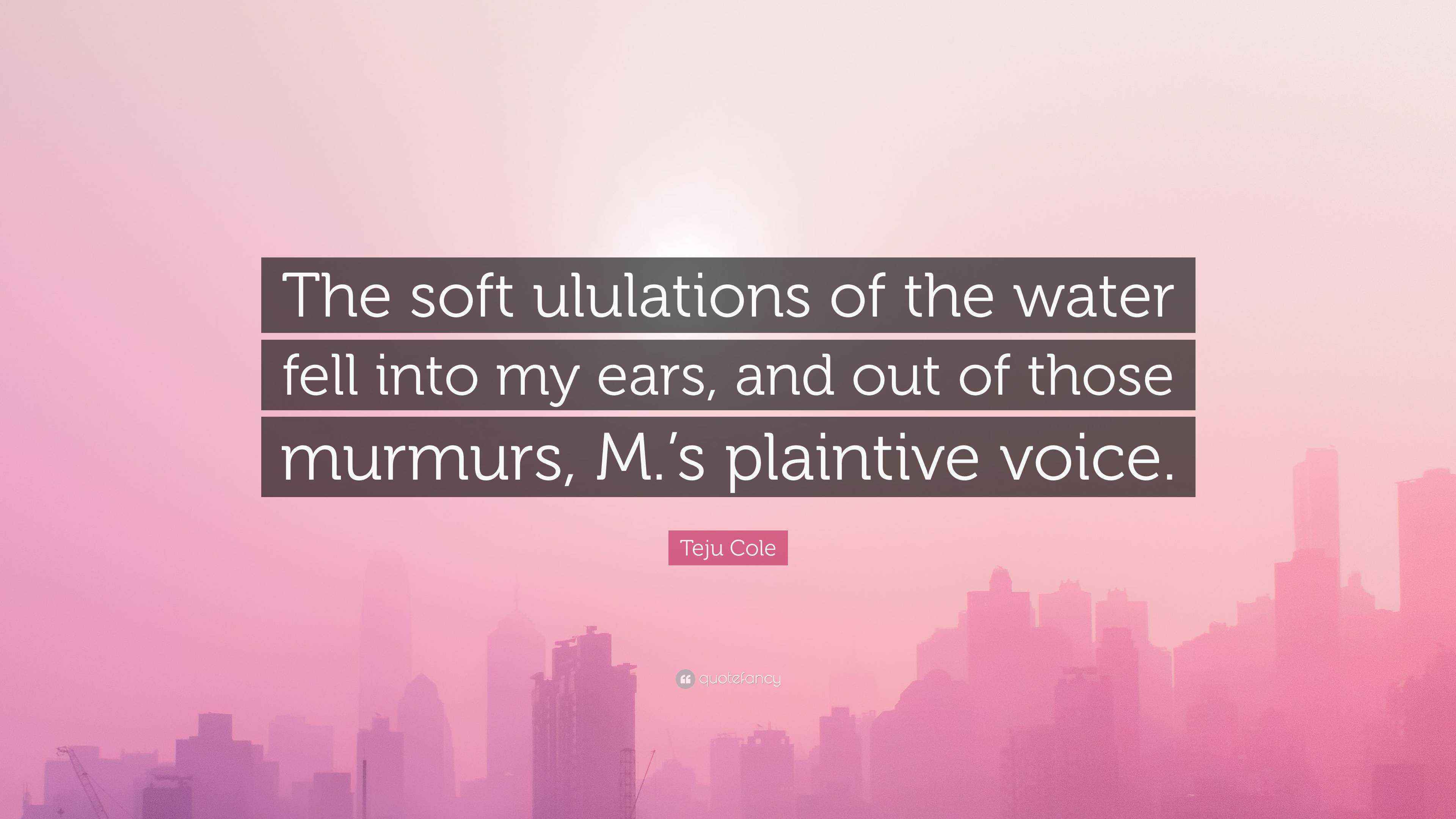 Teju Cole Quote: “The soft ululations of the water fell into my ears ...