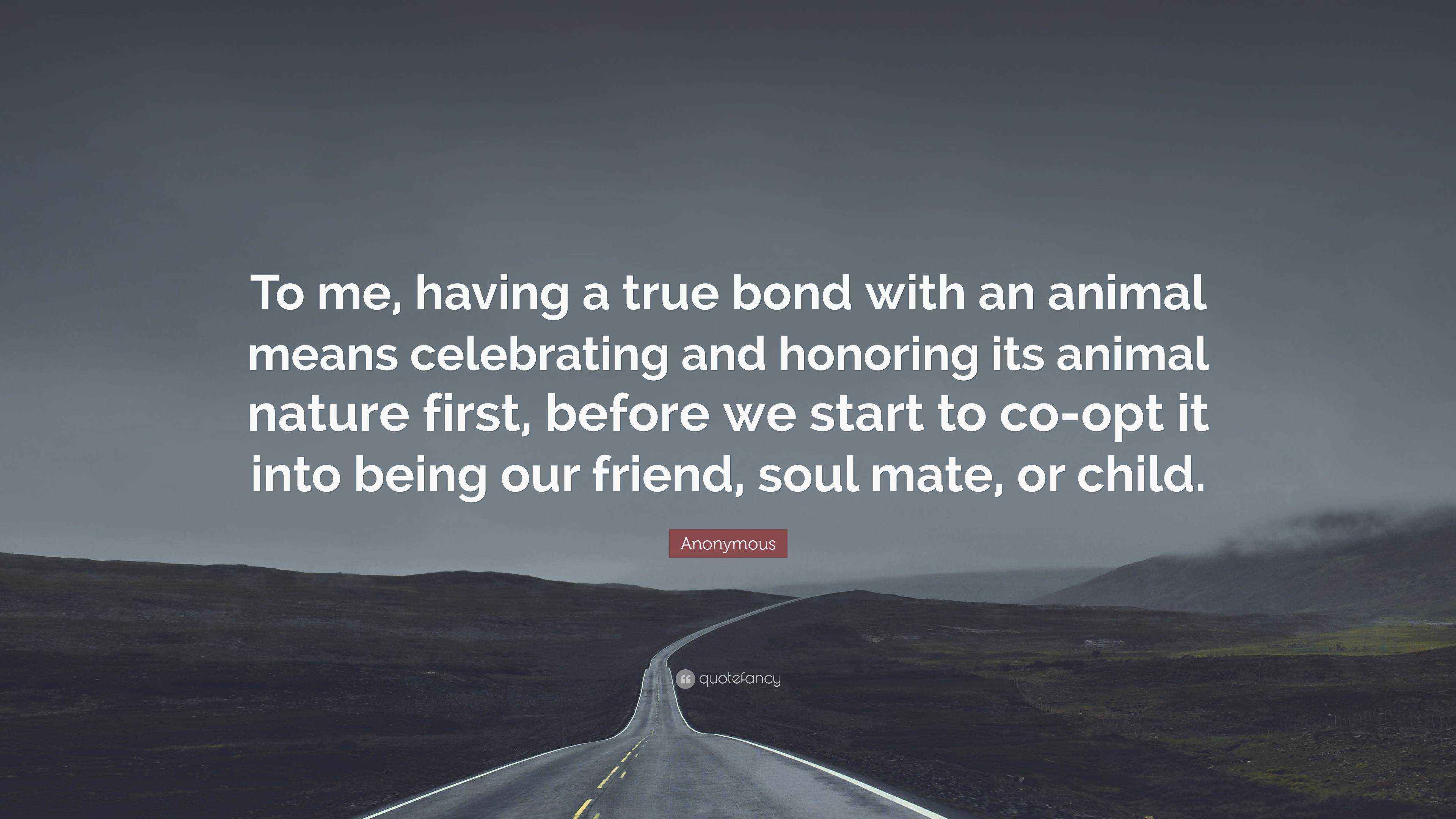 Anonymous Quote: “To me, having a true bond with an animal means ...