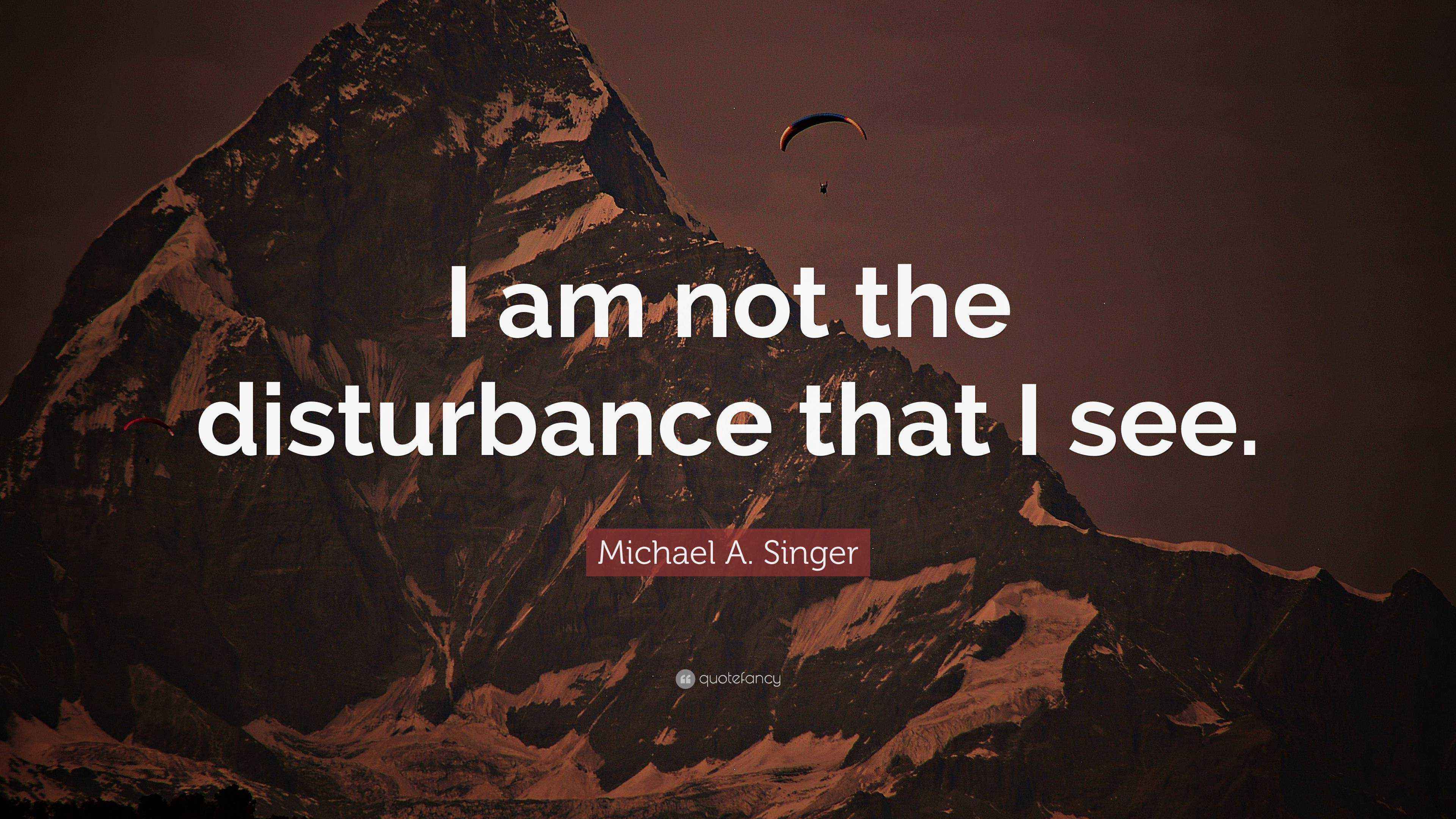 Michael A. Singer Quote: “I am not the disturbance that I see.”