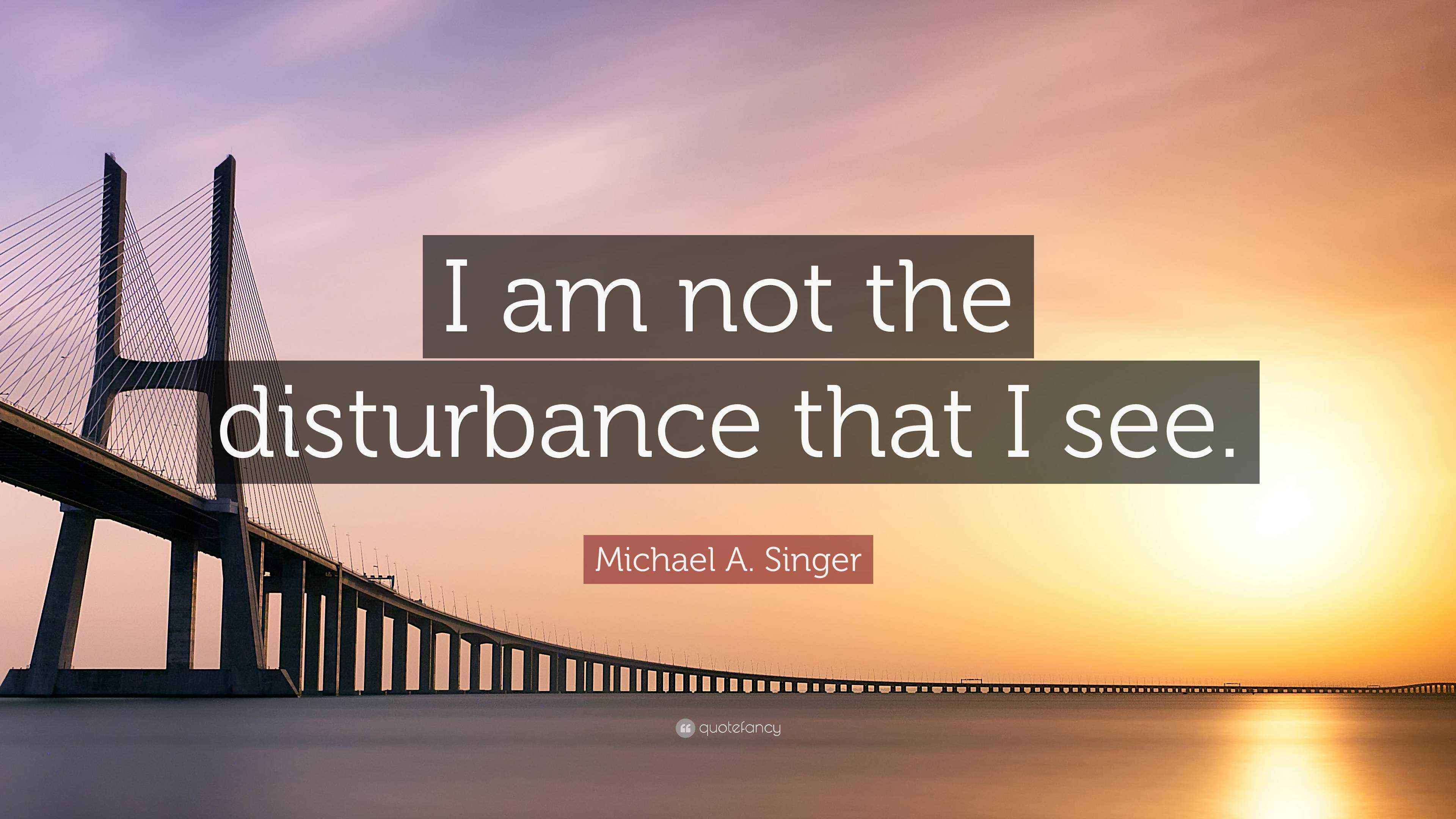 Michael A. Singer Quote: “I am not the disturbance that I see.”