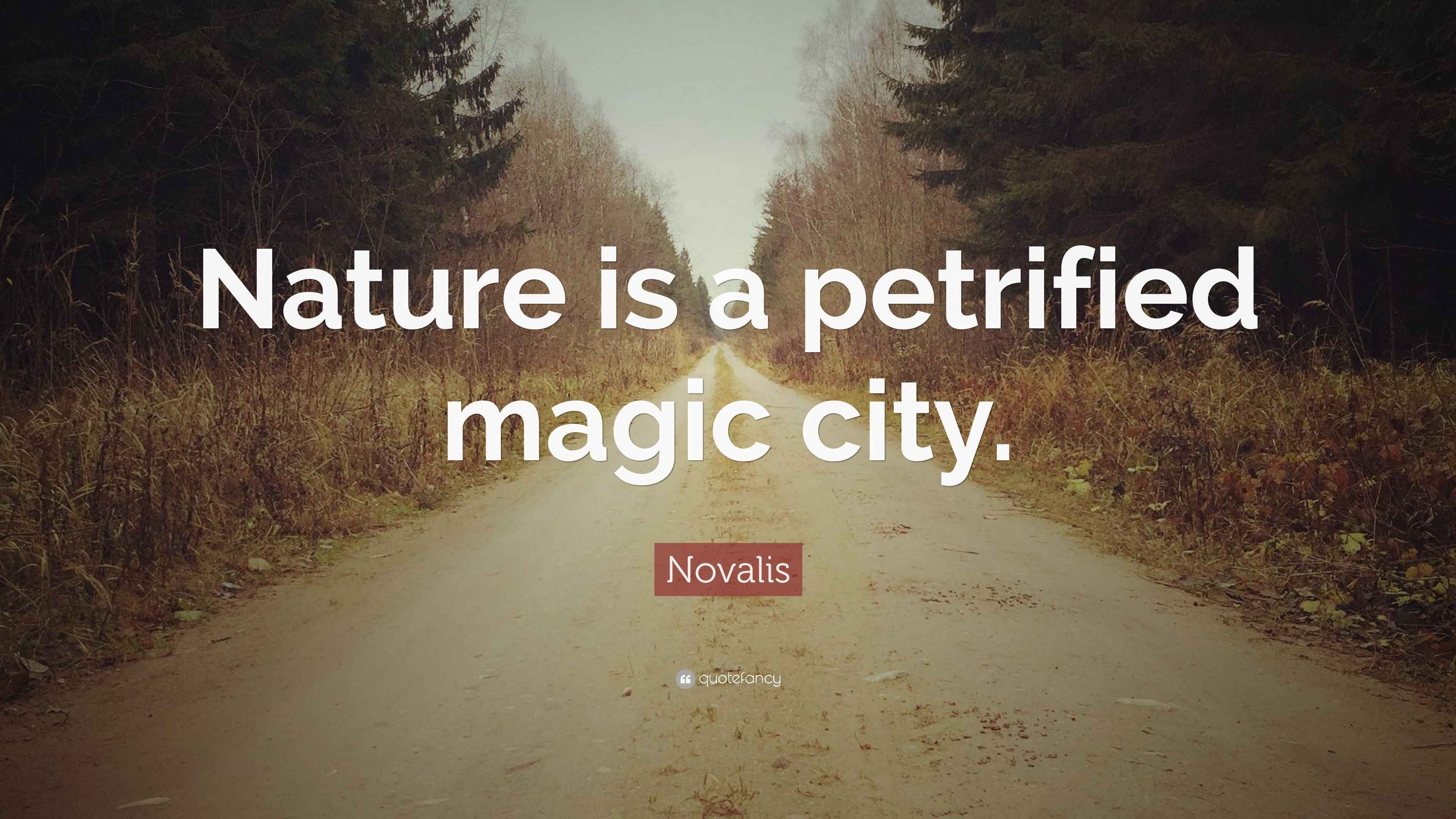 Novalis Quote: “Nature is a petrified magic city.”