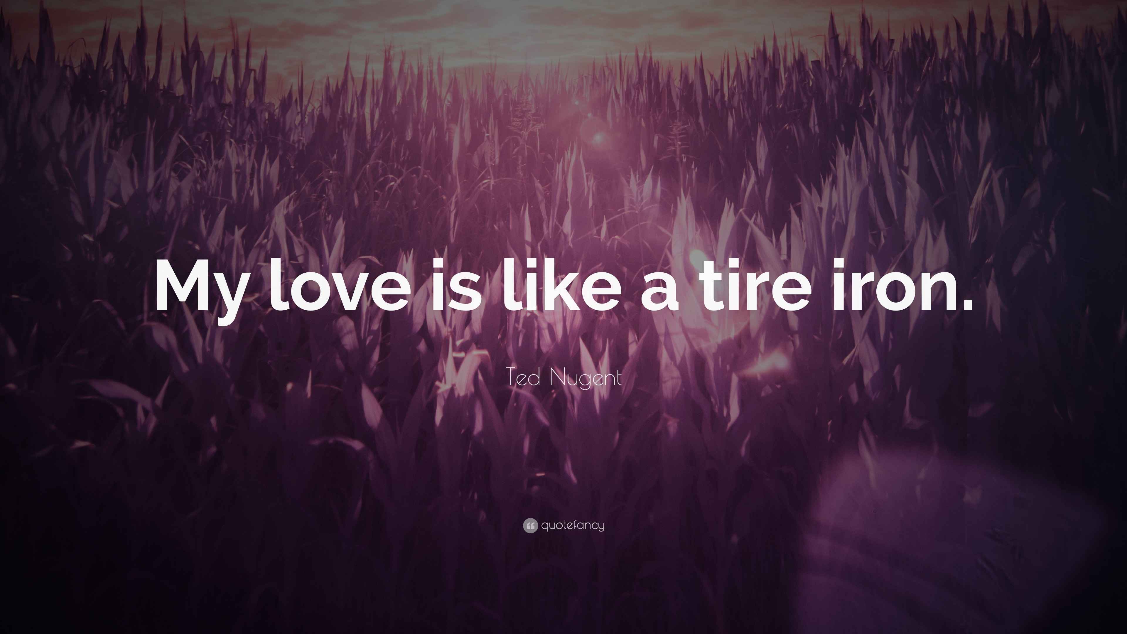 Ted Nugent Quote: “My love is like a tire iron.”