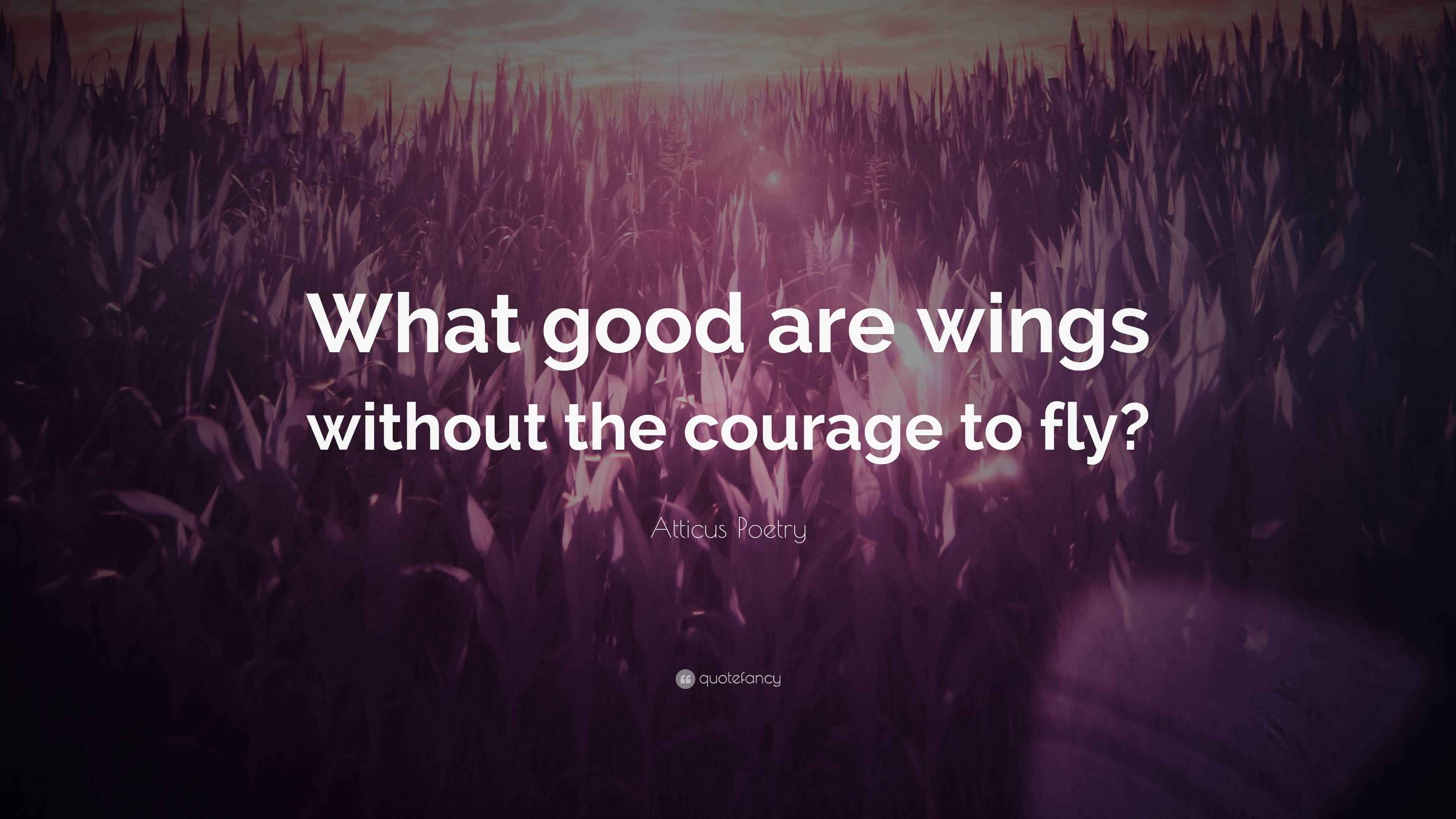 Atticus Poetry Quote: “What good are wings without the courage to fly?”