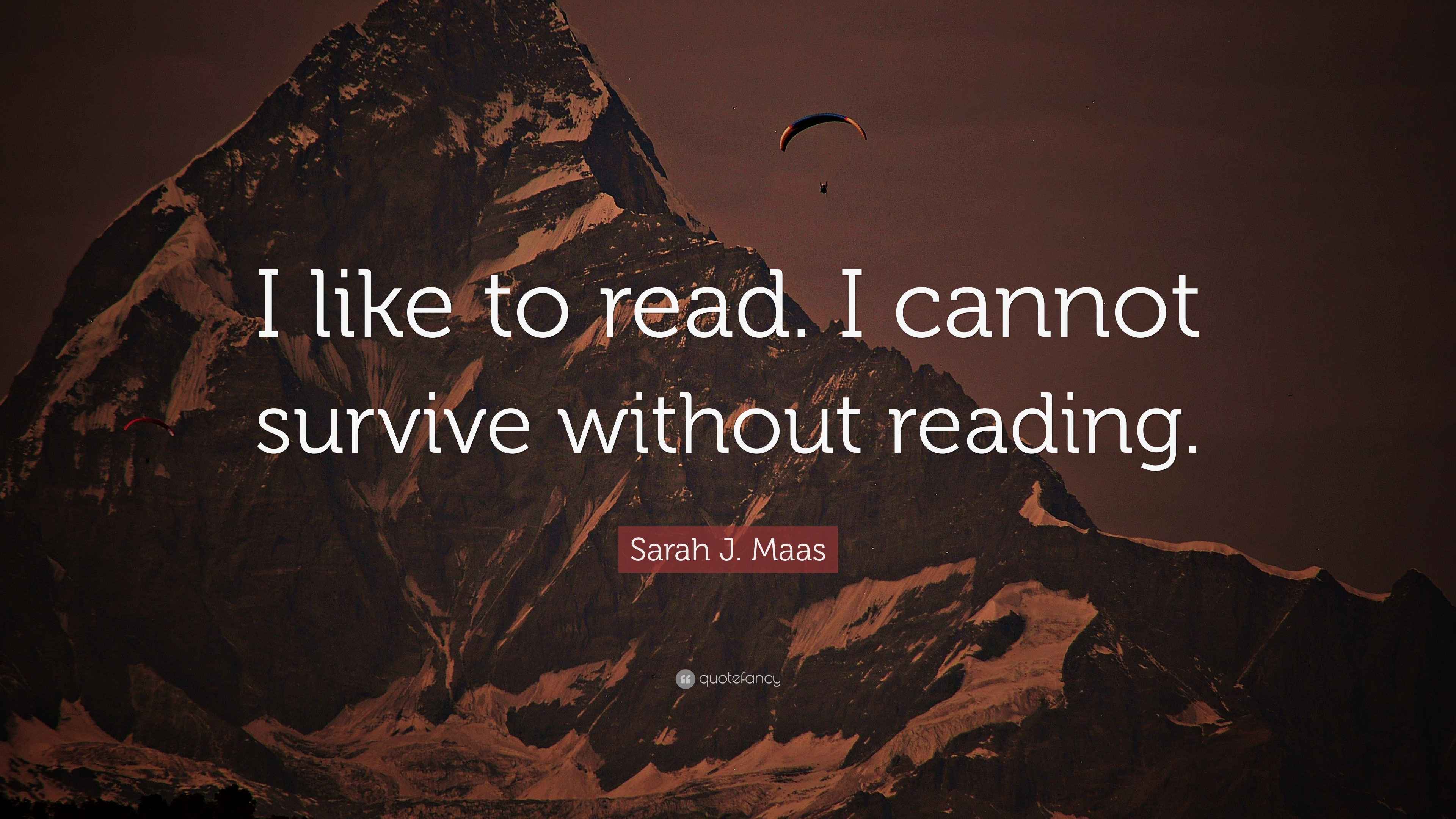 Sarah J. Maas Quote: “I like to read. I cannot survive without reading.”